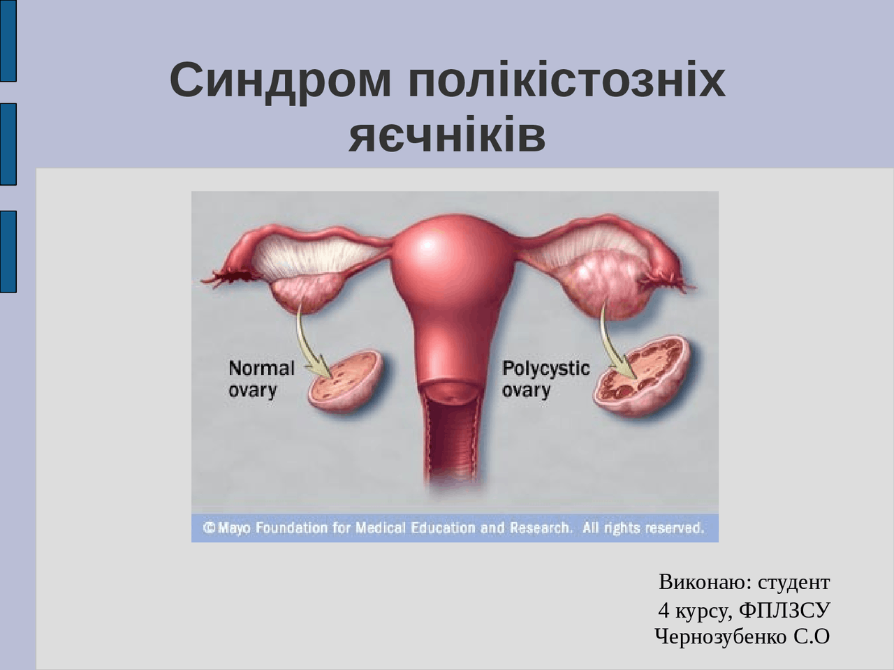 Презентация гинекология Docsity