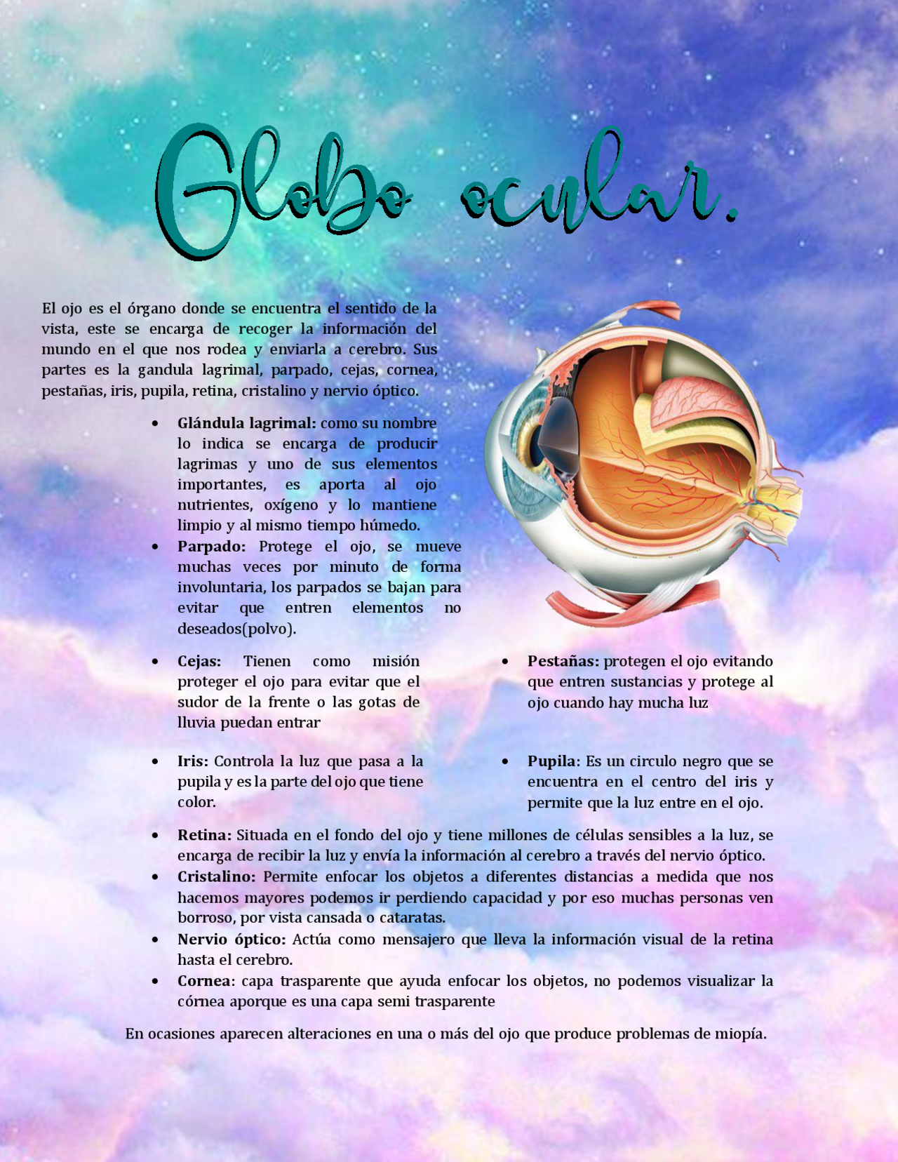 Globo Ocular Extrínsecos Apuntes De Anatomía Docsity