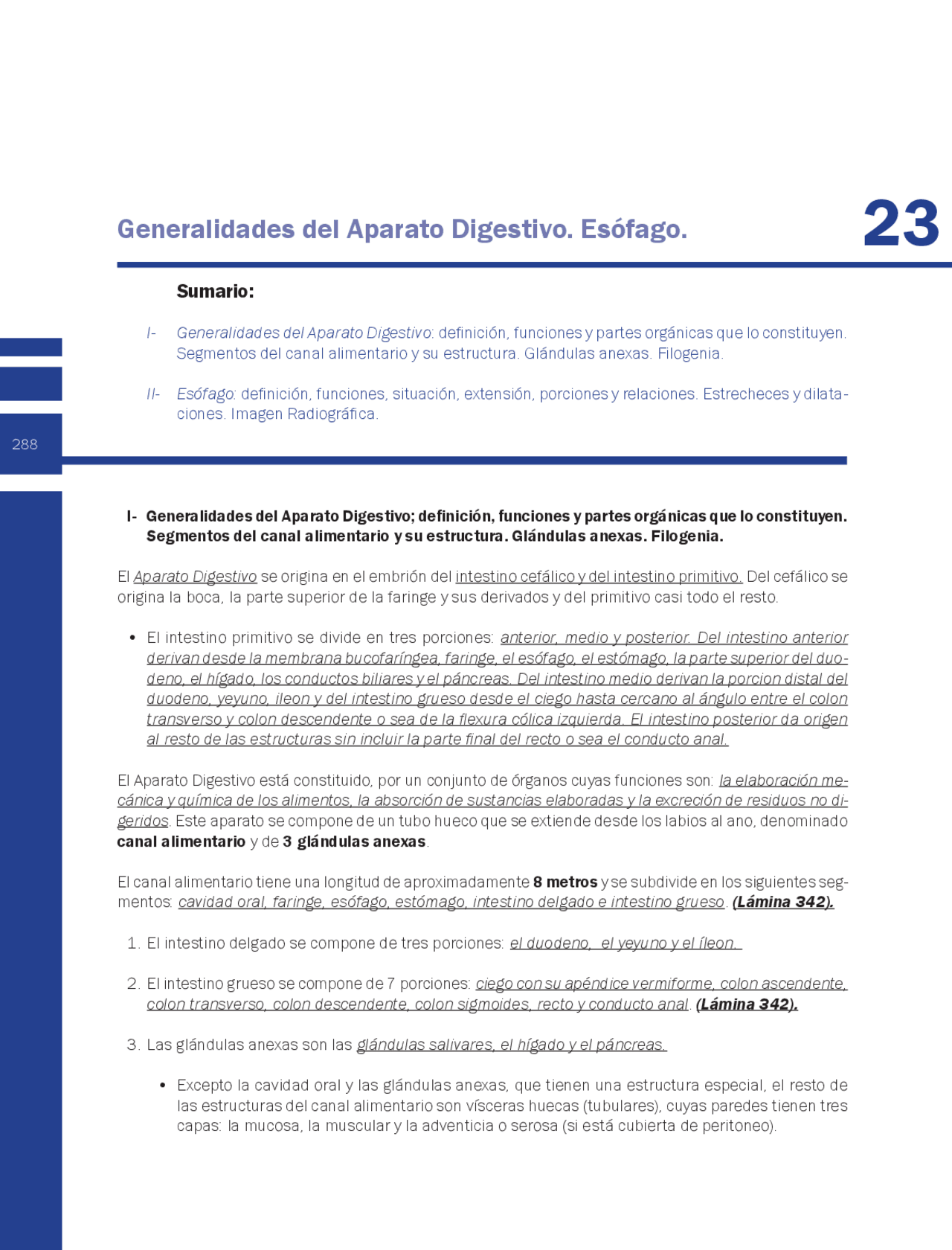 Esófago Y Estómago Anatomia Resúmenes De Anatomía Docsity