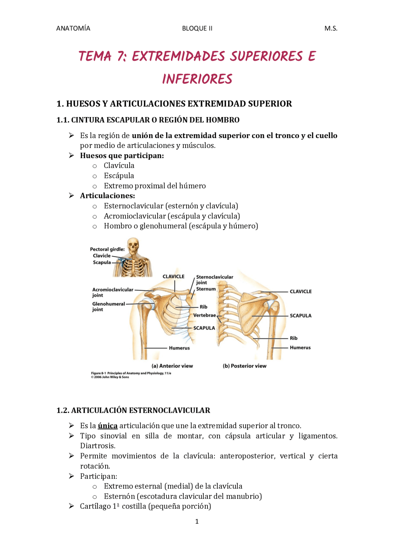 APUNTES ANATOMÍA TEMA 7 NUTRICIÓN UA | Apuntes de Anatomía | Docsity