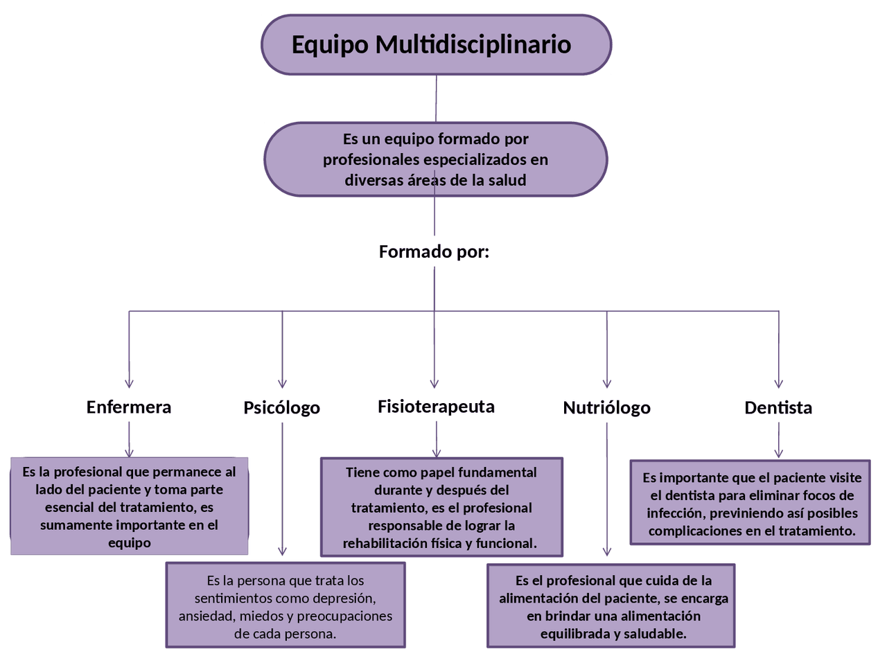 Equipo multidisciplinario | Diapositivas de Fisioterapia | Docsity