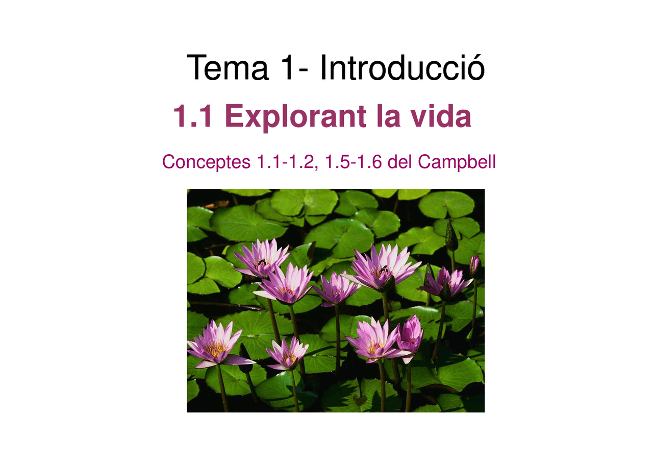 Tema 1 Introducció Docsity
