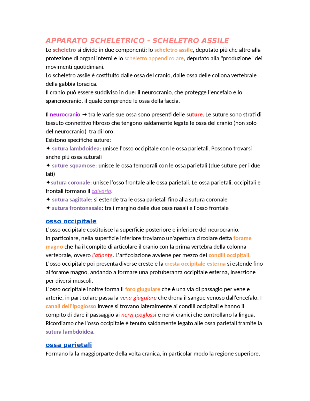 Apparato Scheletrico - Scheletro assile (Anatomia Umana, Martini ...