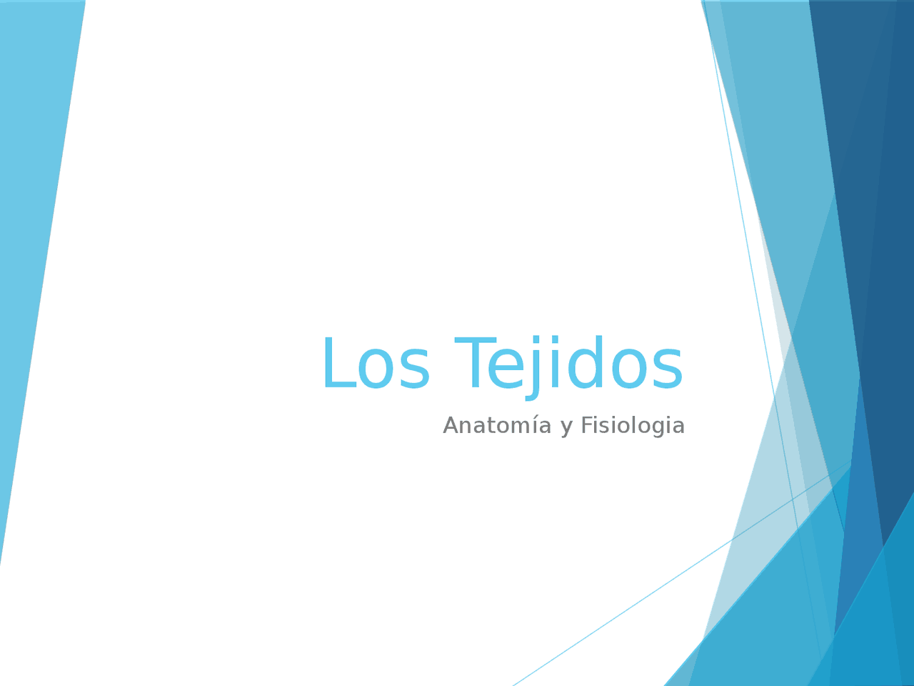 Los Tejidos Del Cuerpo Humano Docsity