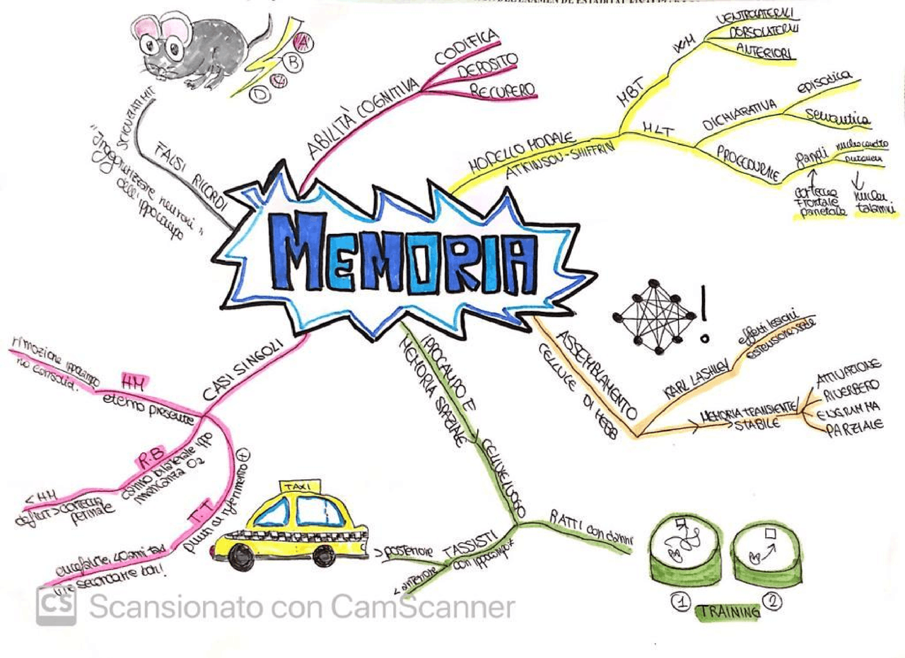 Schemi Di Psicobiologia Docsity
