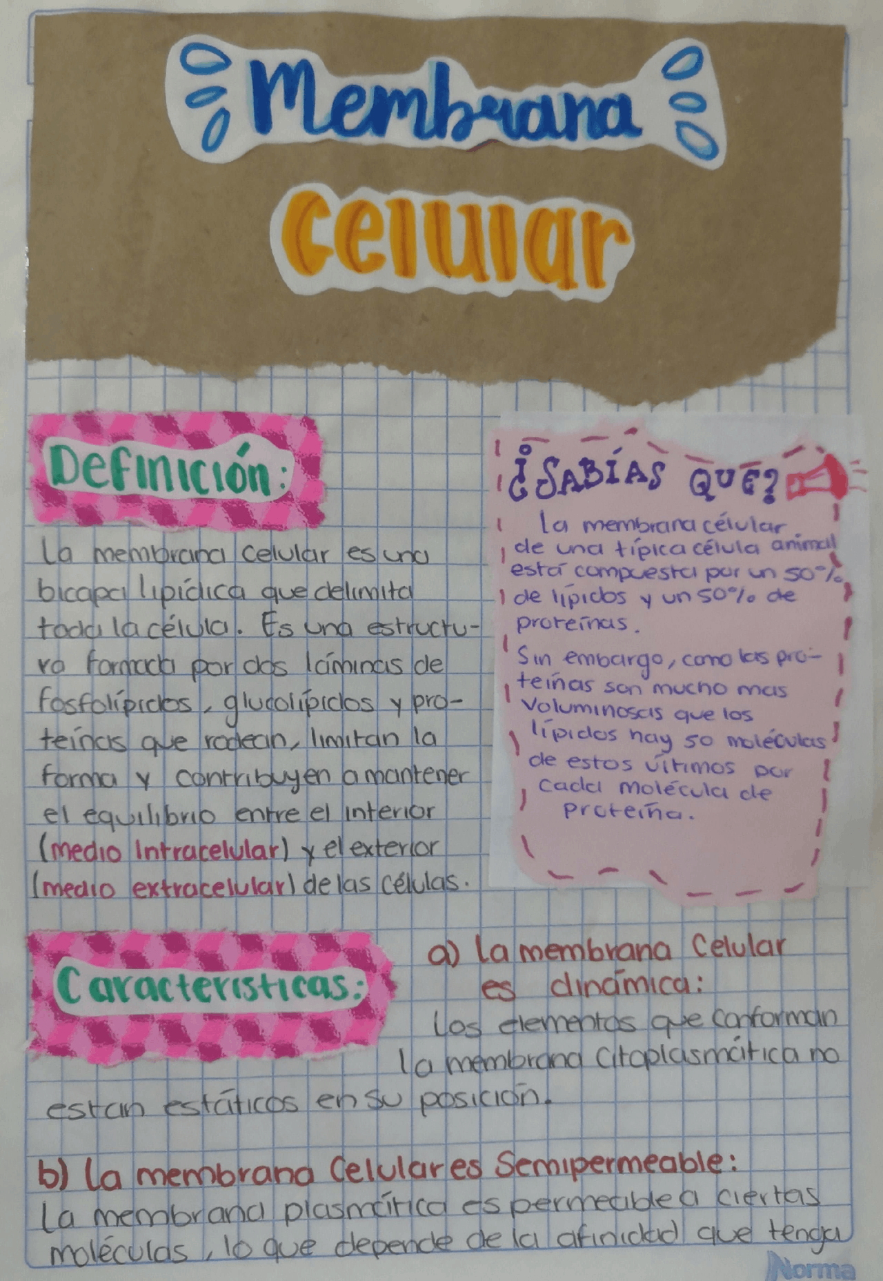 Membrana Celular Resumen Docsity