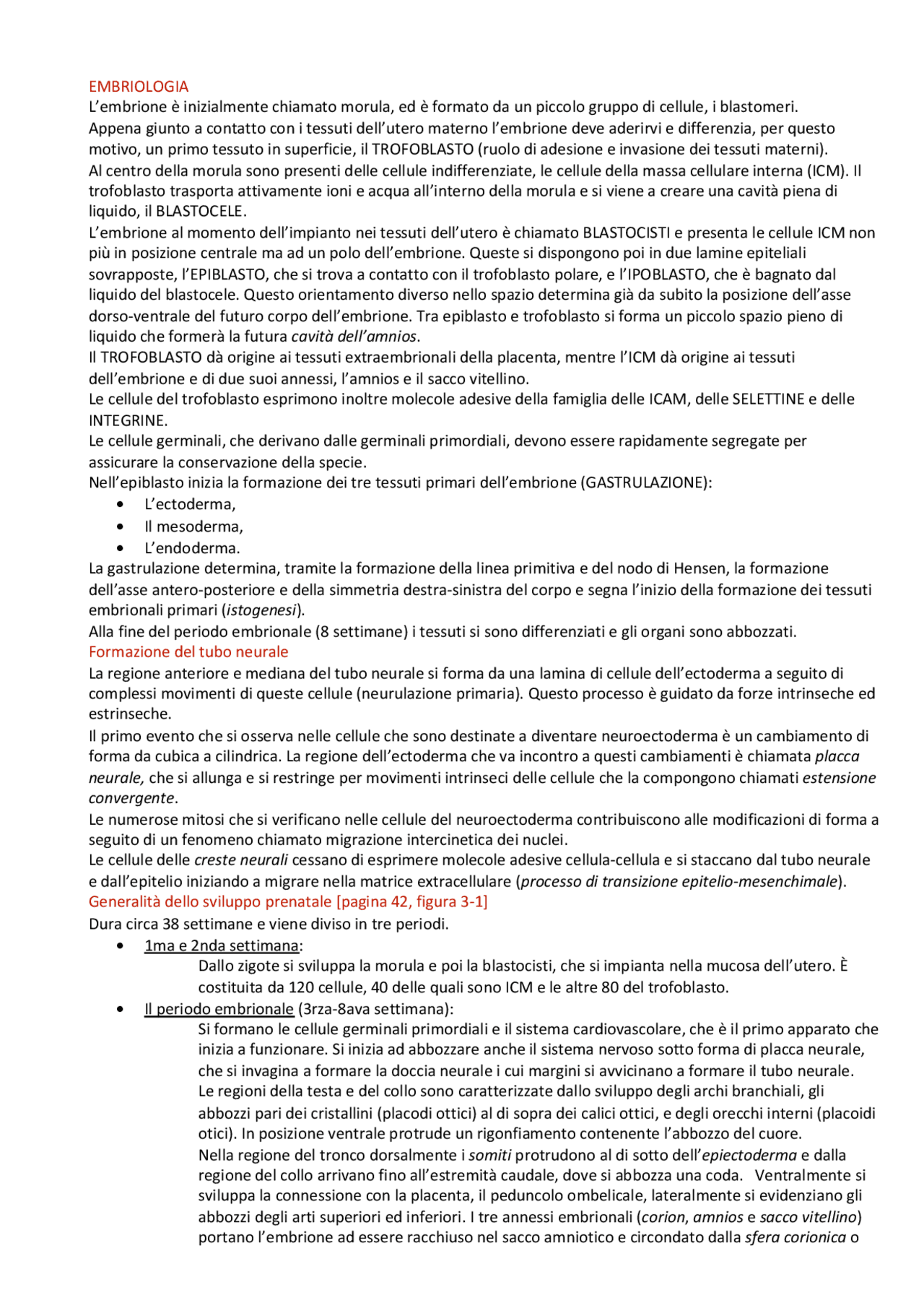 Schemi Di Embriologia Umana De Felici Appunti Di Embriologia Docsity