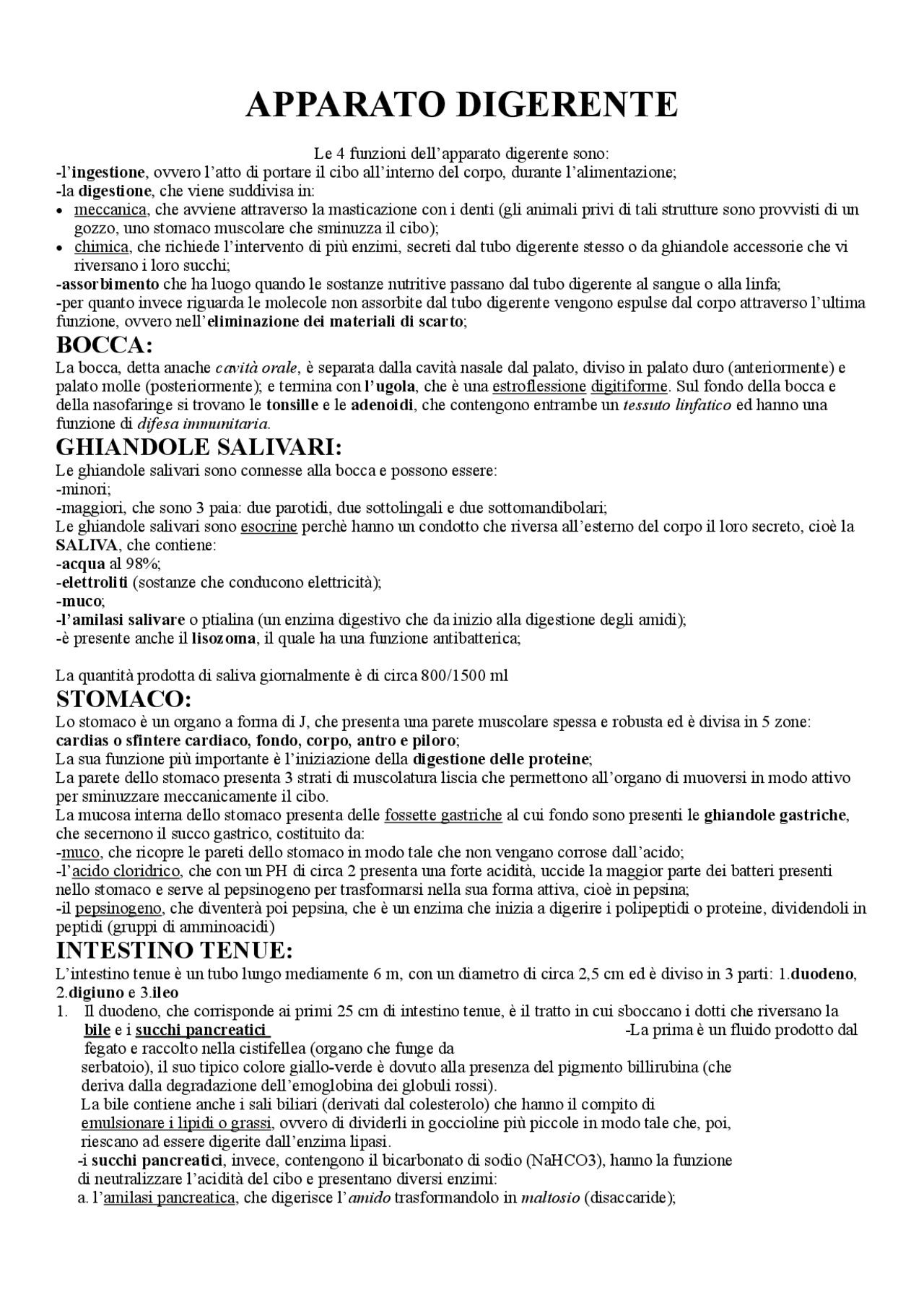 Apparato Digerente Bocca Ghiandole Salivari Docsity