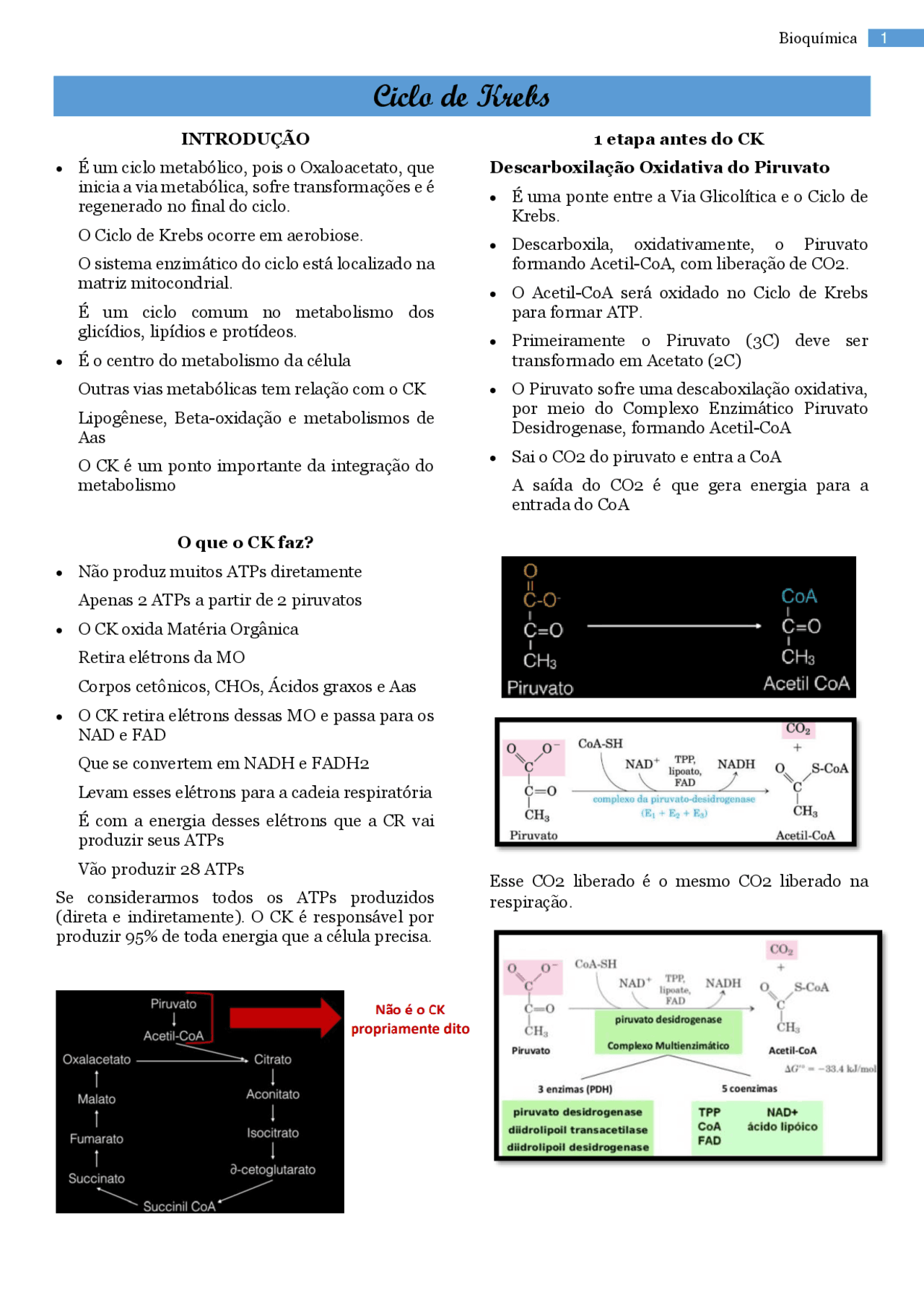 Resumo Do Ciclo De Krebs Docsity