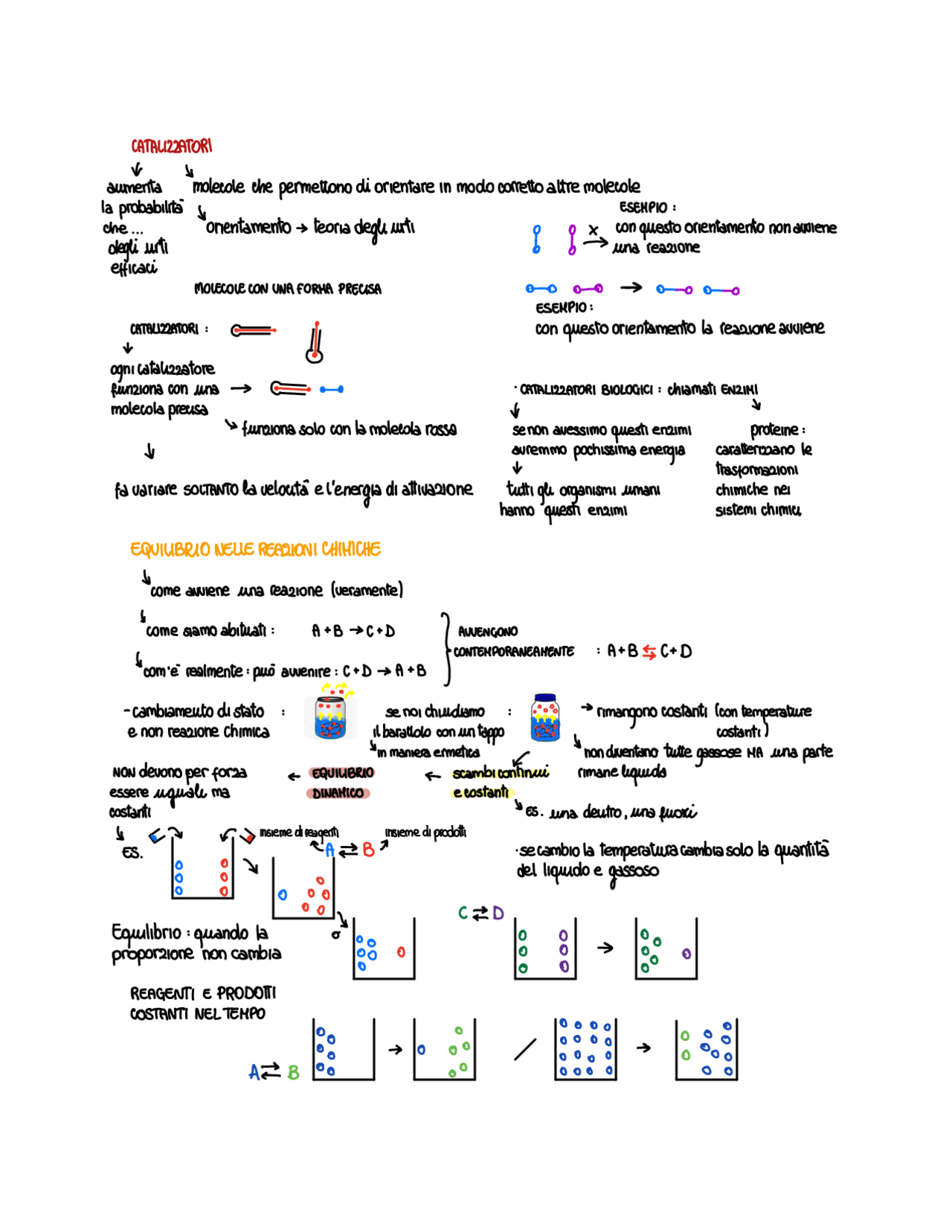 Scienze Notechimica Docsity
