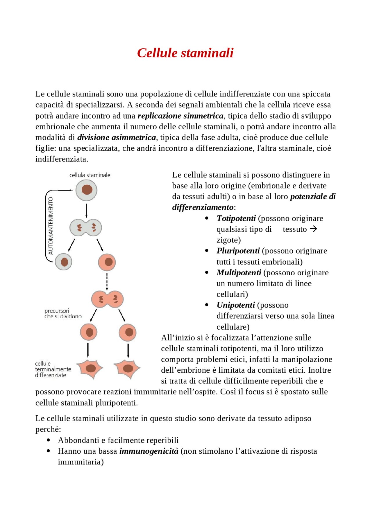 Cellule Staminali Riassunto Docsity
