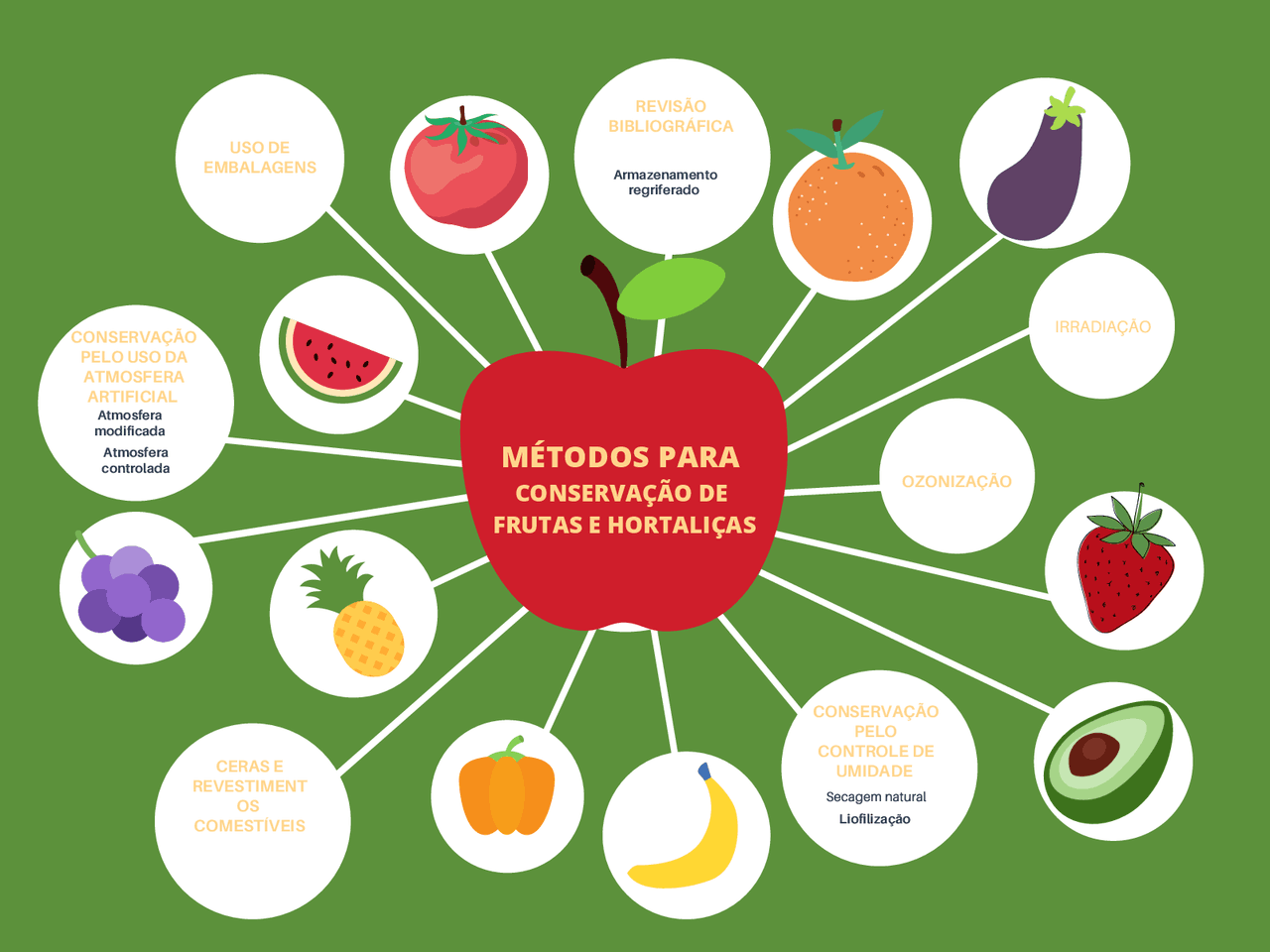 Mapa Conceitual Frutas E Hortaliças Esquemas Biologia Docsity