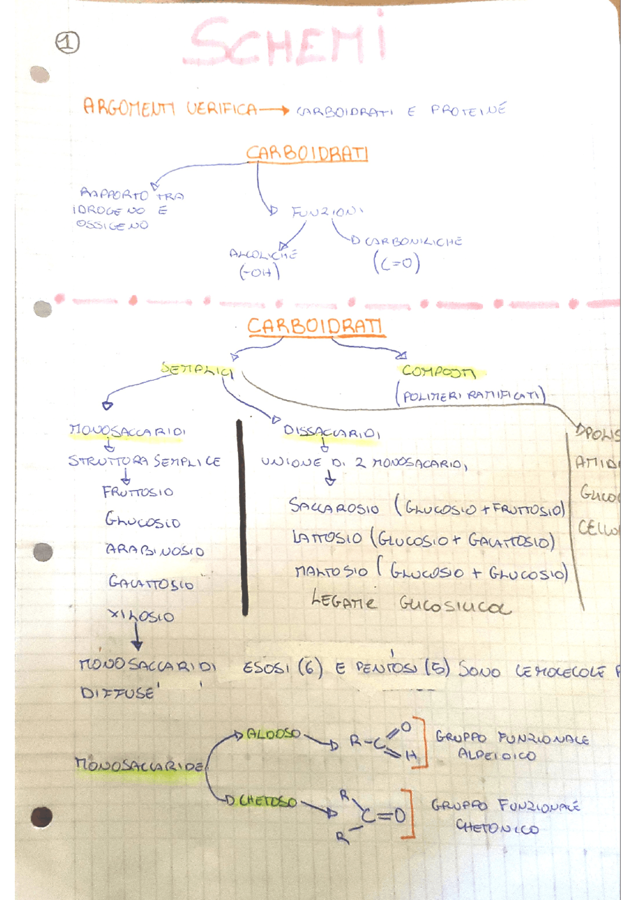 Carboidrati E Proteine Schemi E Mappe Concettuali Di Chimica Docsity