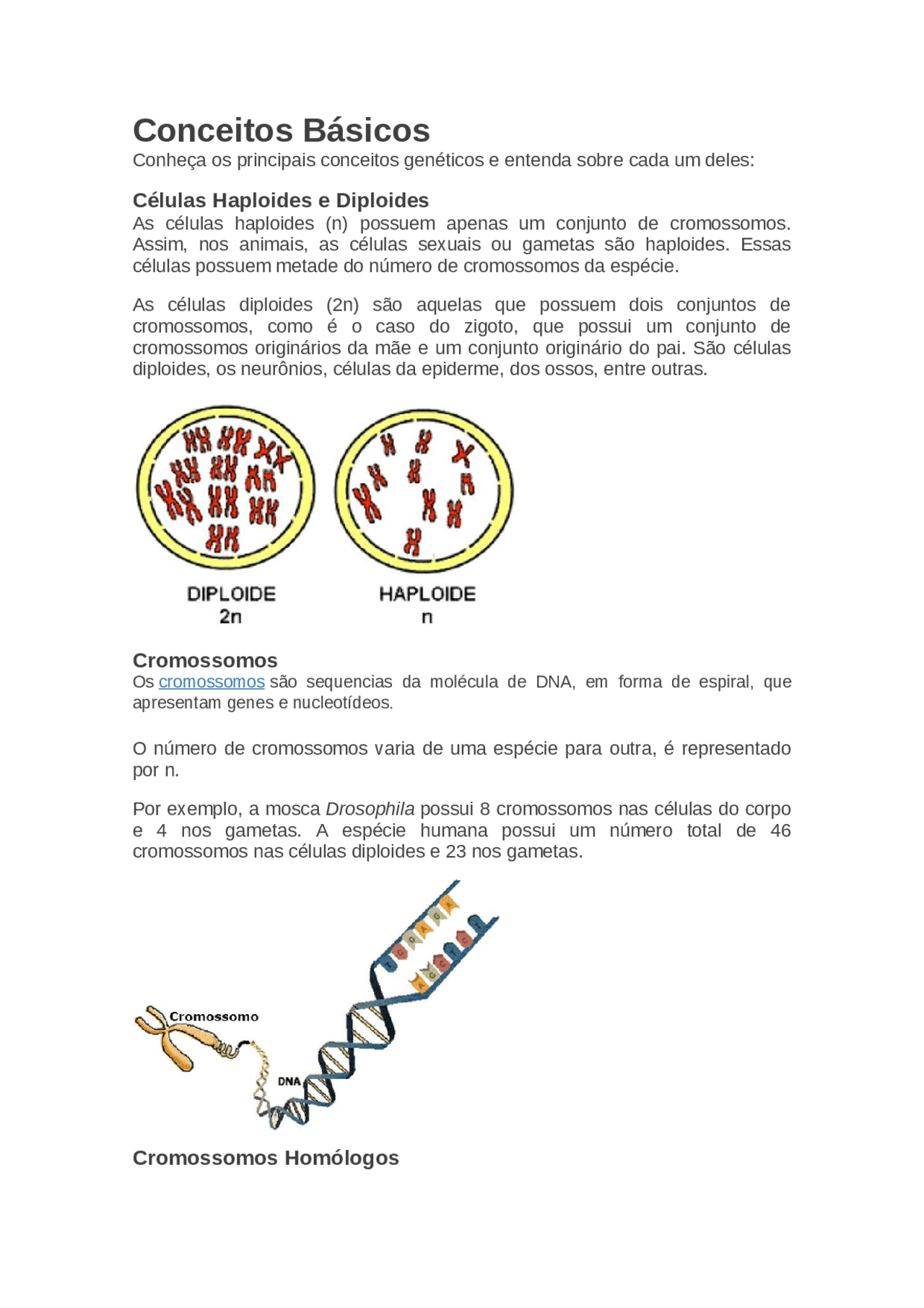 Conceitos Básicos De Genética Docsity
