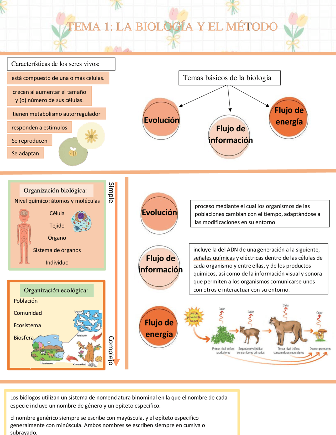 Apuntes De Biología Docsity