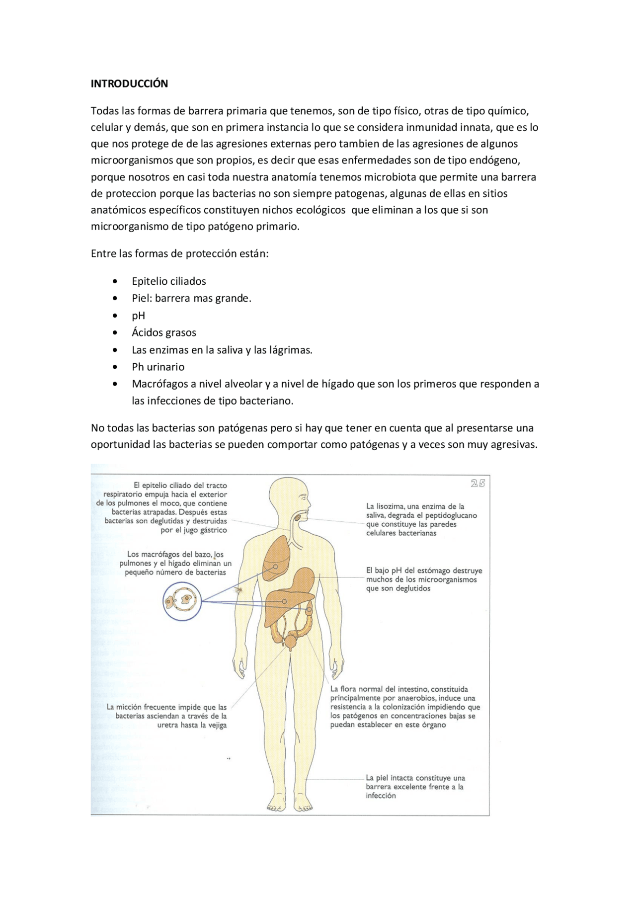 Resumen De Virus Y Bacterias Apuntes De Patología Docsity