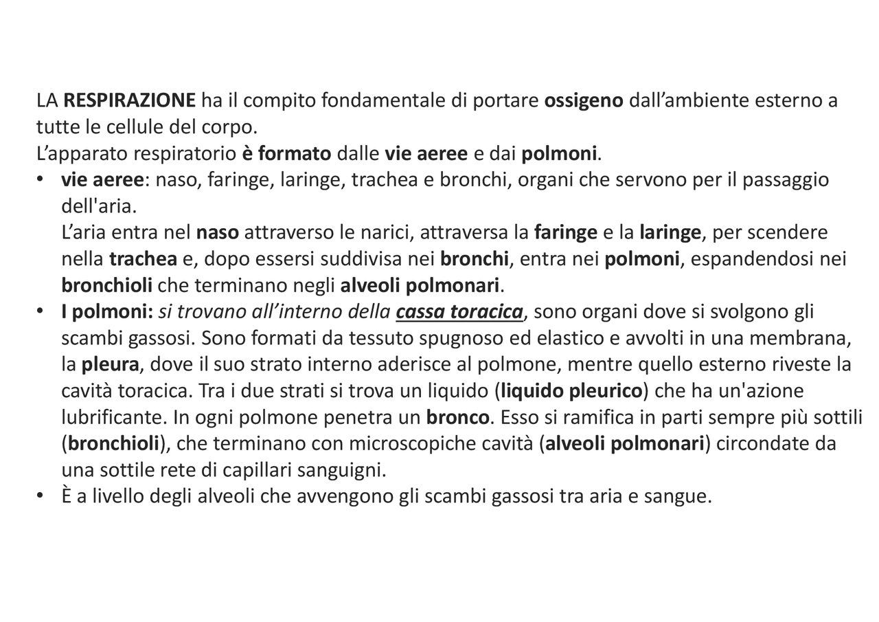 Lapparato Respiratorio E Cardiocircolatorio Docsity