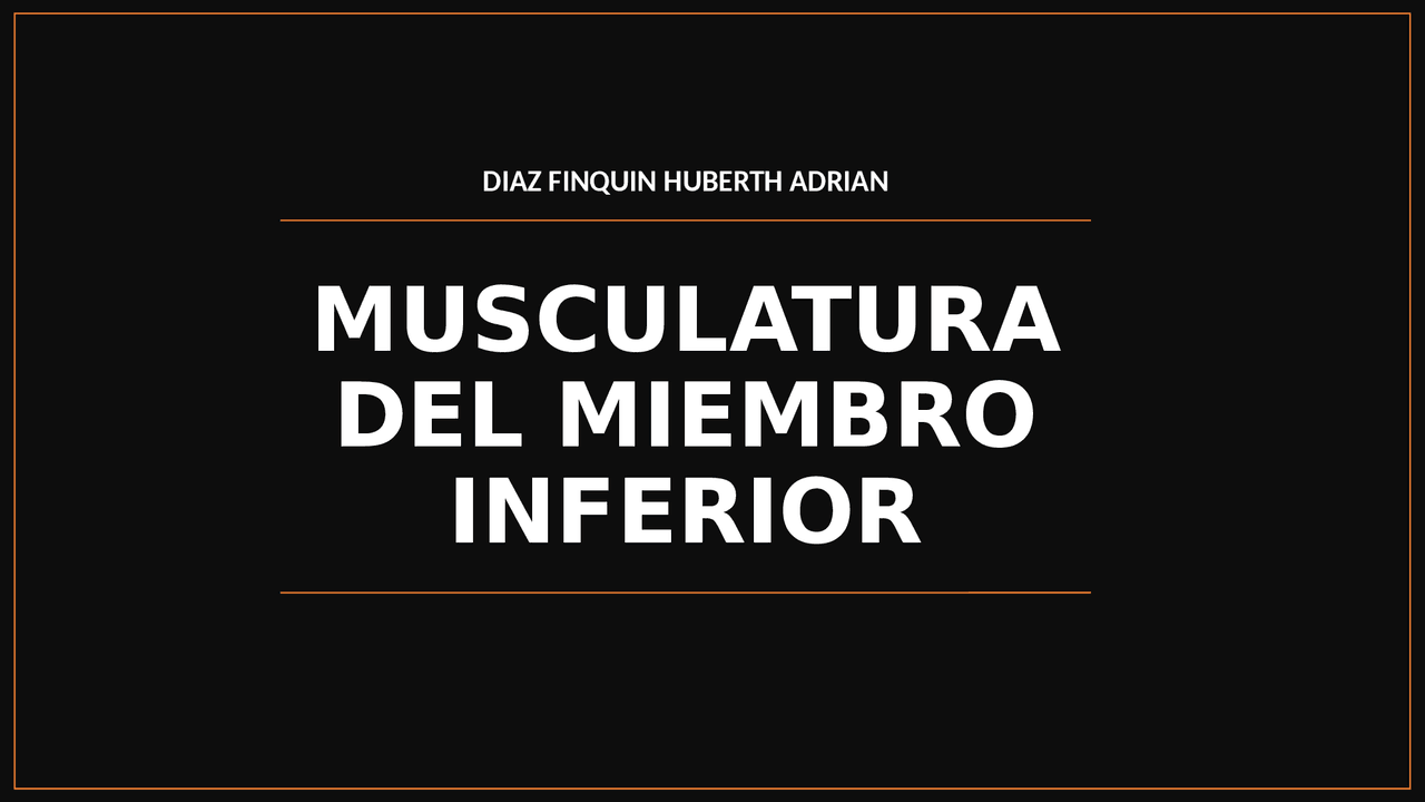 Musculatura Dl Miembro Inferior Diapositivas De Anatomía Docsity