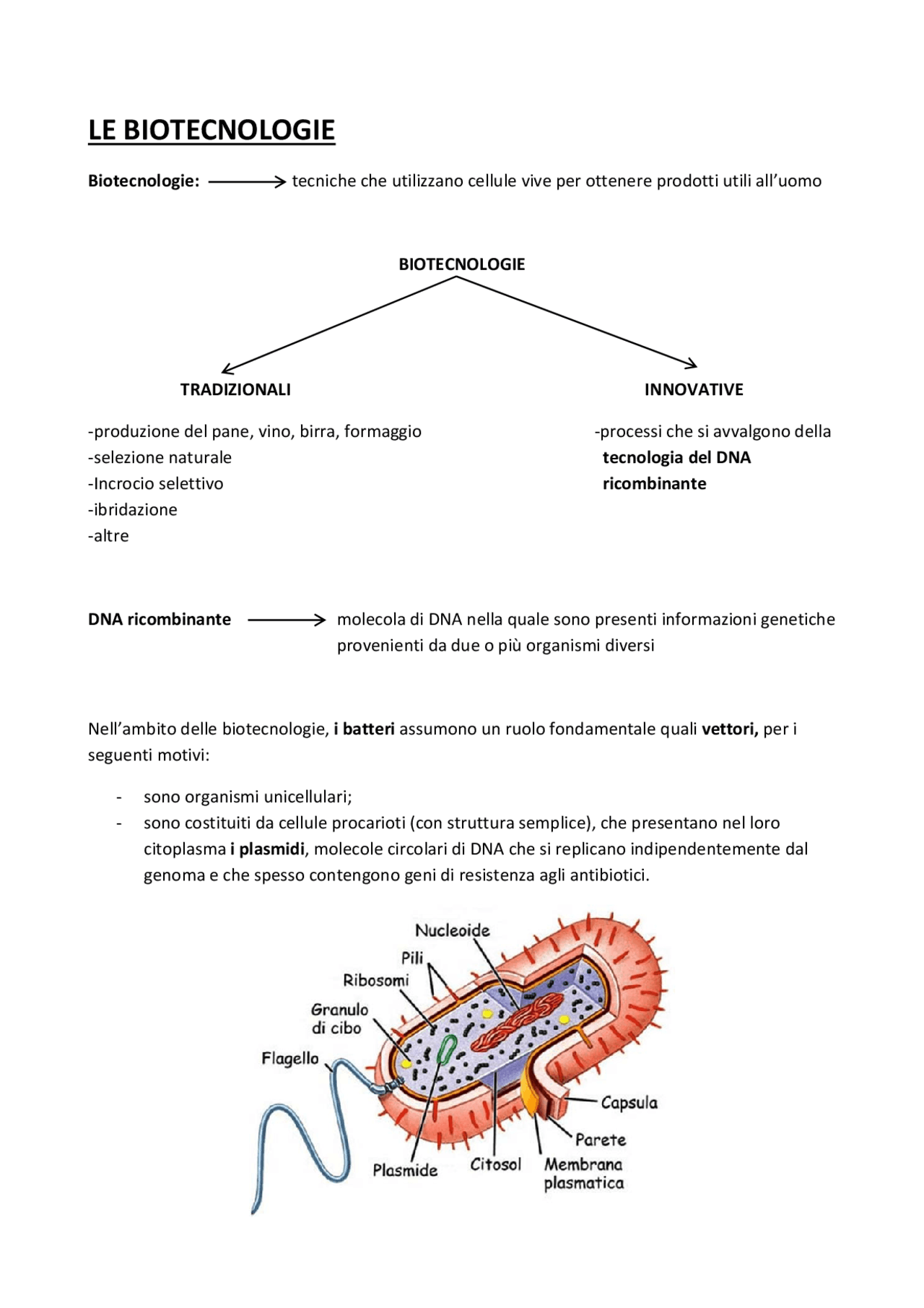 Biotecnologie Scienze Appunti Di Scienze Umane Docsity
