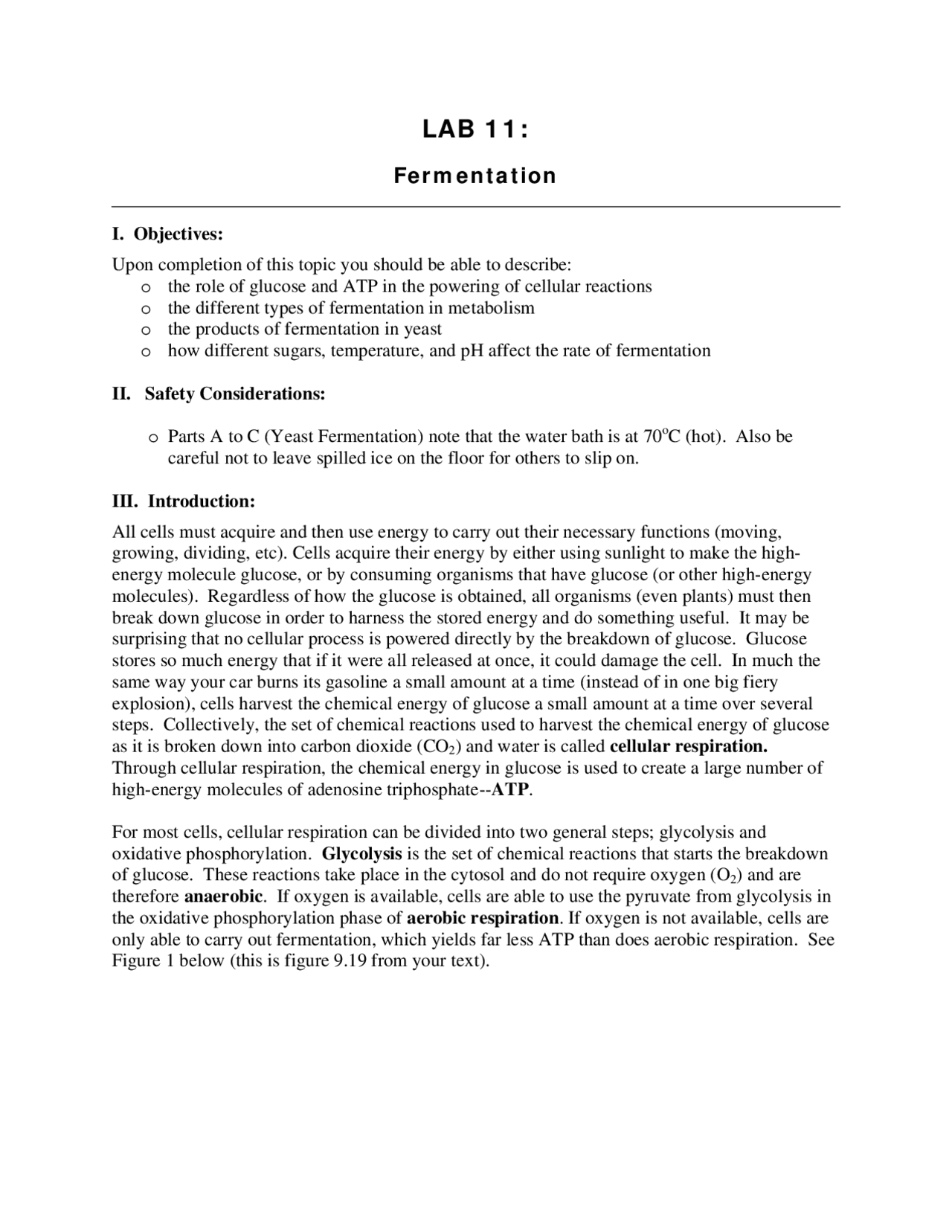 Alcoholic Yeast Fermentation of Different Sugars Lab Report | Lab ...
