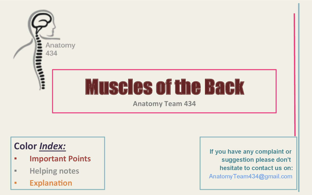Muscles of the Back Anatomy Slides - Docsity