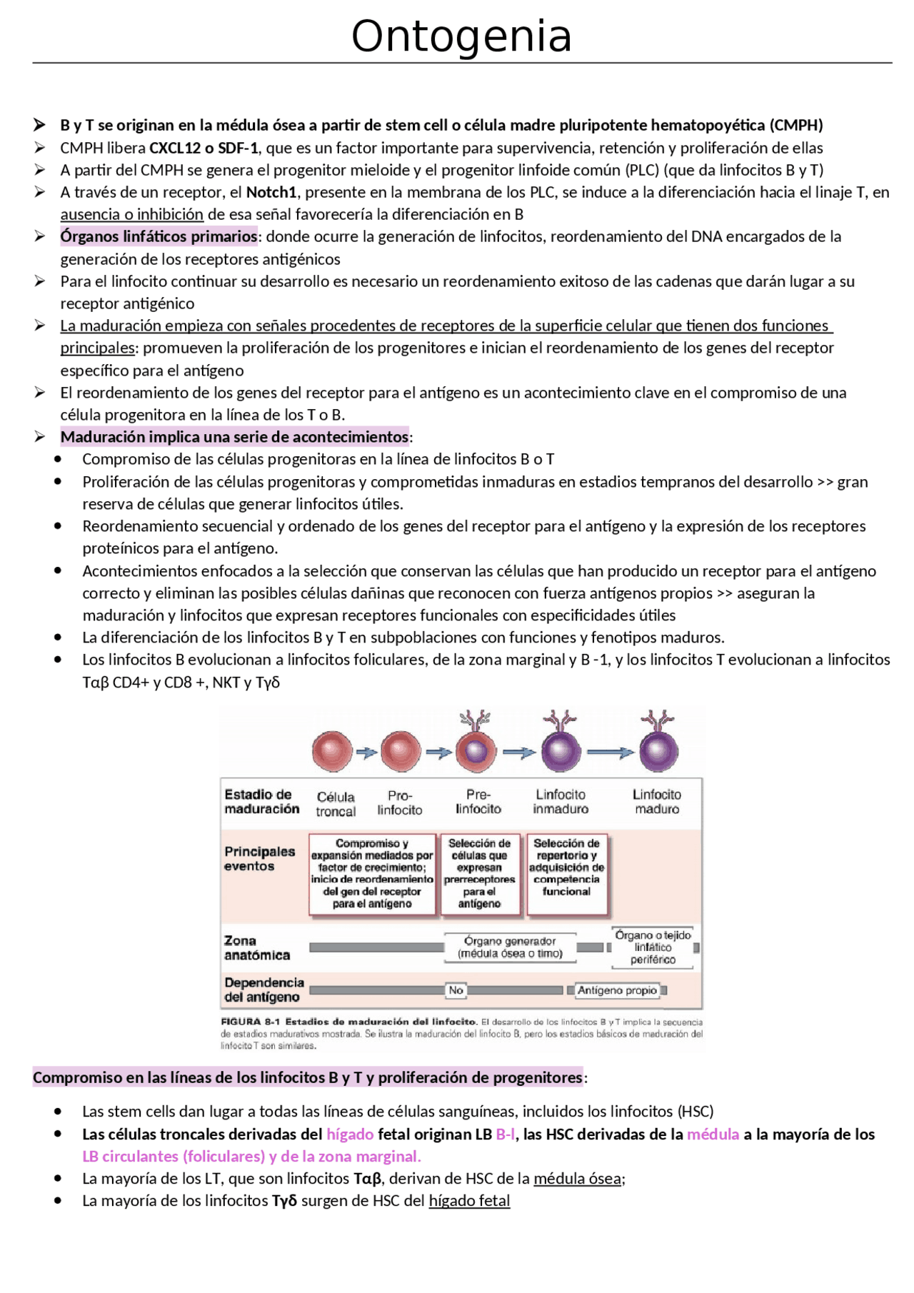 Ontogenia De Linfocitos Docsity