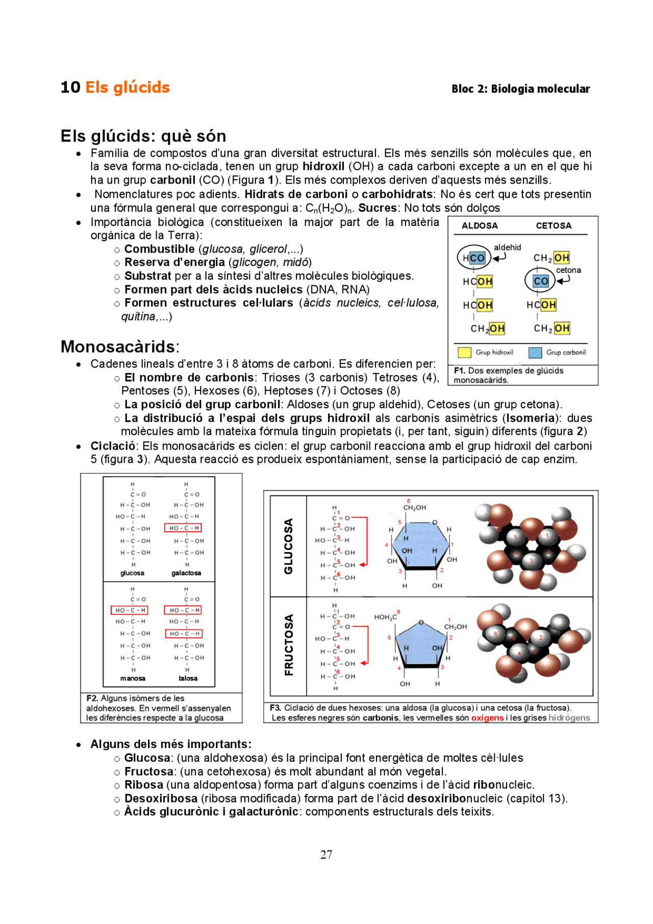Glúcids Tema De Biologia Docsity