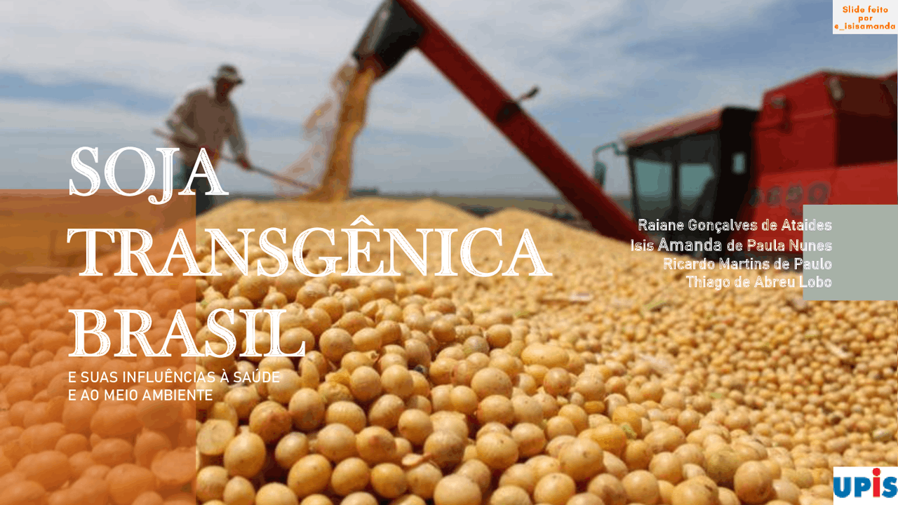 Soja Transgênica no Brasil - Docsity