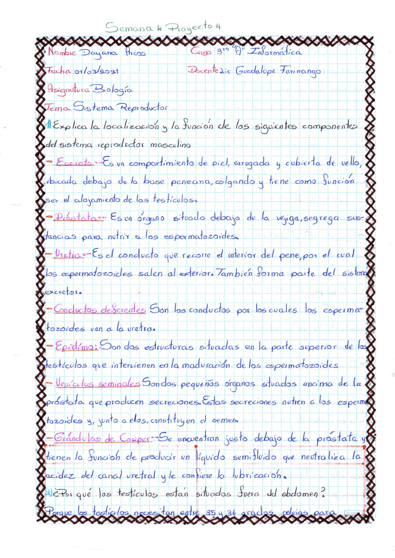 Tareas Para Desarrollar Docsity