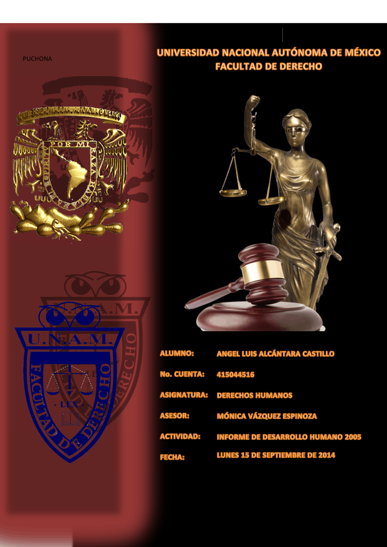 Informe De Desarrollo Humano 2005 Sintesi Del Corso Di Diritti Umani