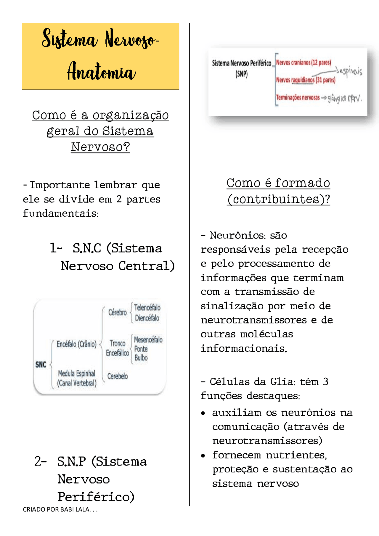 Resumo De Neuroanatomia Para Enfermagem Docsity