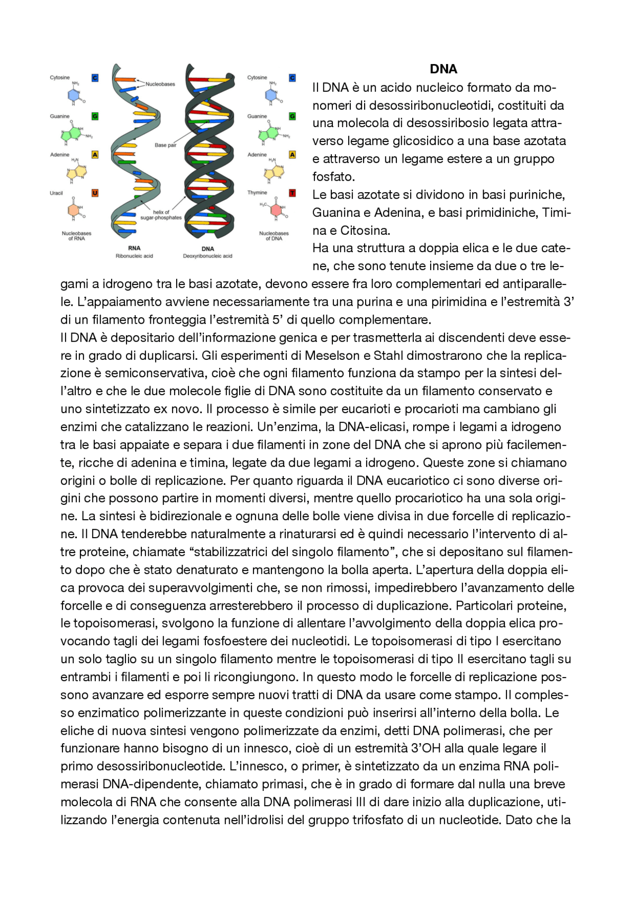 Dna E La Sua Duplicazione Docsity