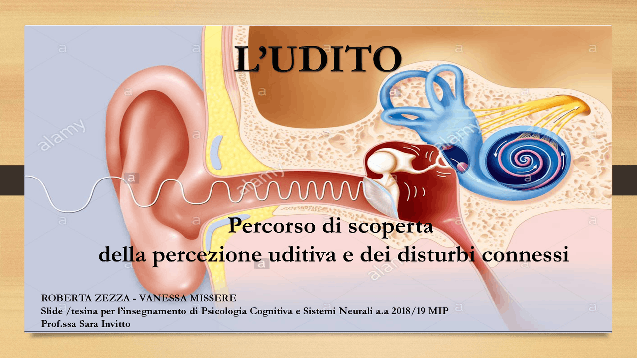 Udito e caratteristiche e come funziona l'orecchio - Docsity