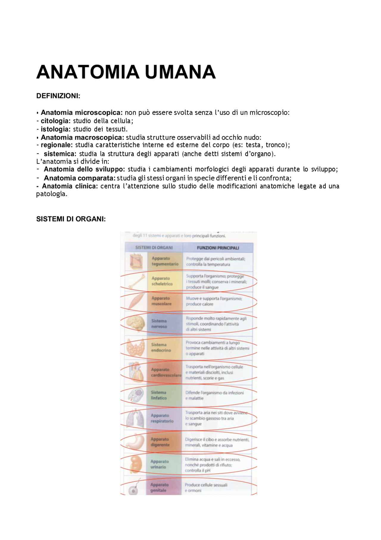Elementi Di Anatomia Umana Sbobinature Di Anatomia Docsity