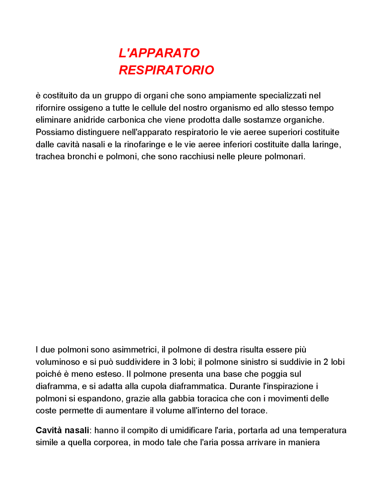 Apparato Respiratorio Pdf Docsity