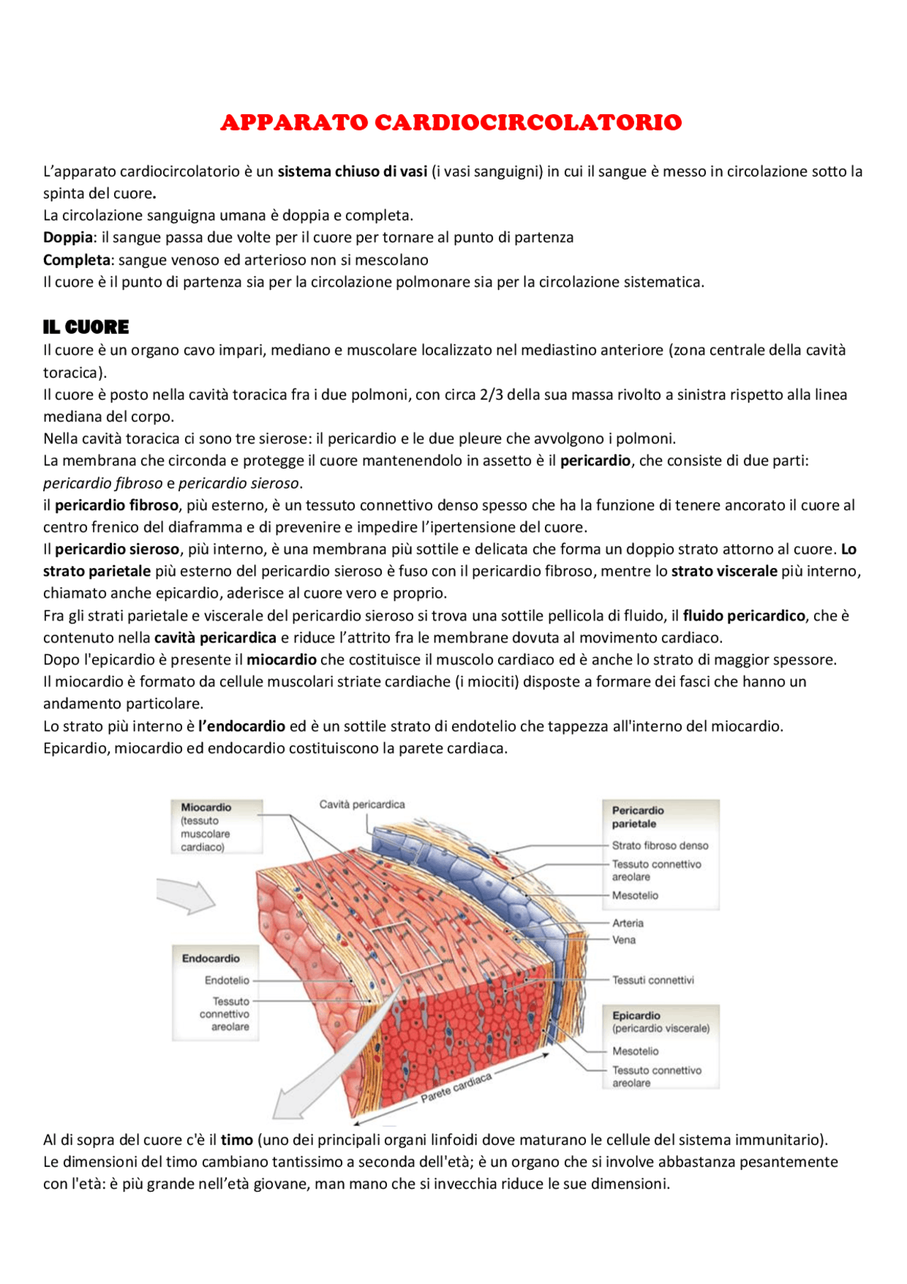 Apparato Cardiocircolatorio Docsity