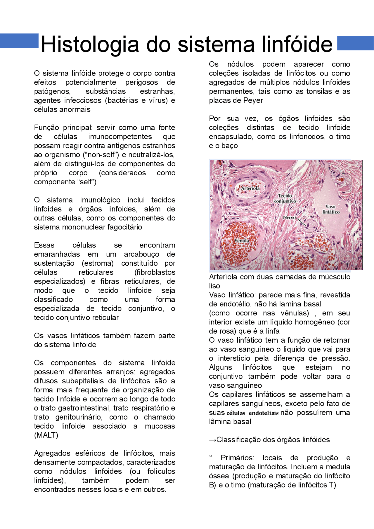 HISTOLOGIA DO SISTEMA LINFÓIDE | Notas de estudo Histologia | Docsity