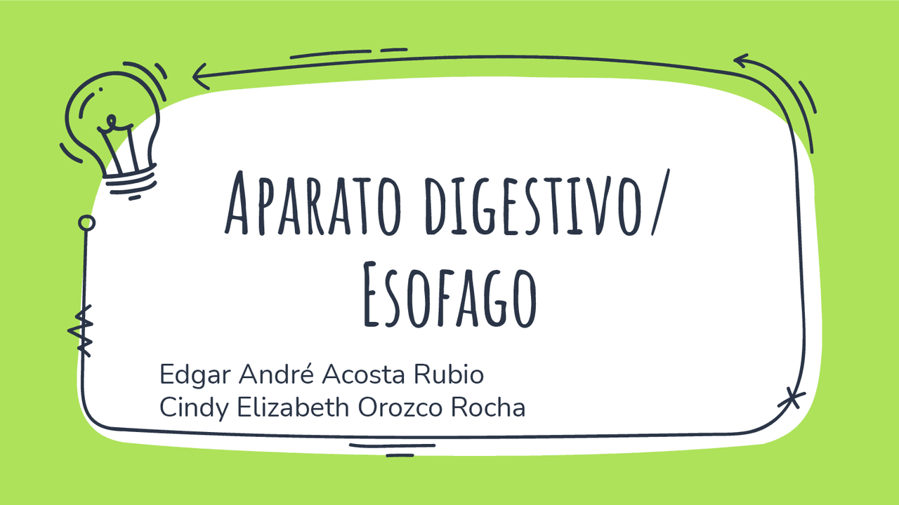 Aparato digestivo/Esofago | Diapositivas de Imagenología | Docsity