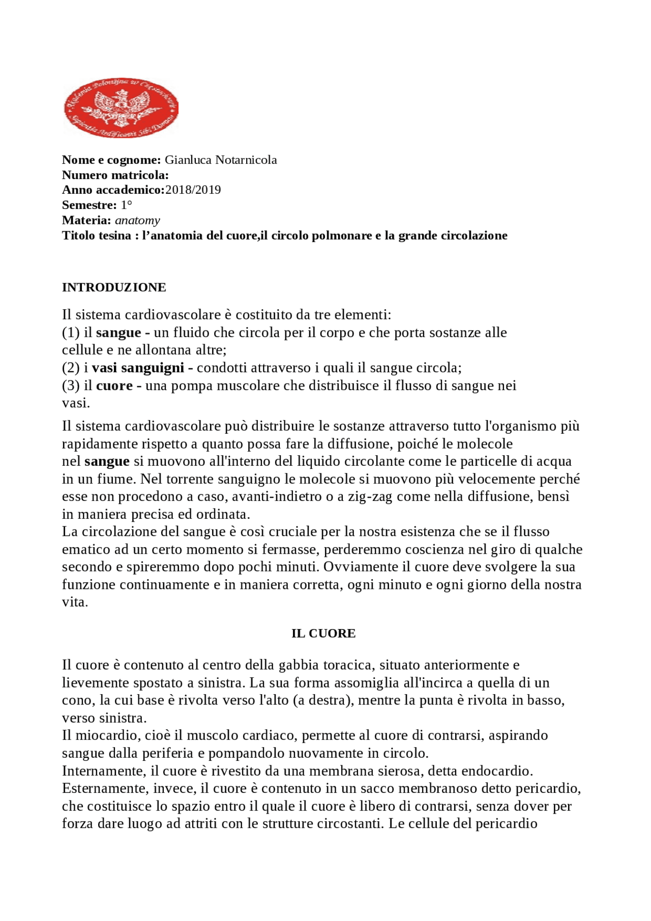 L’anatomia del cuore,il circolo polmonare e la grande circolazione ...