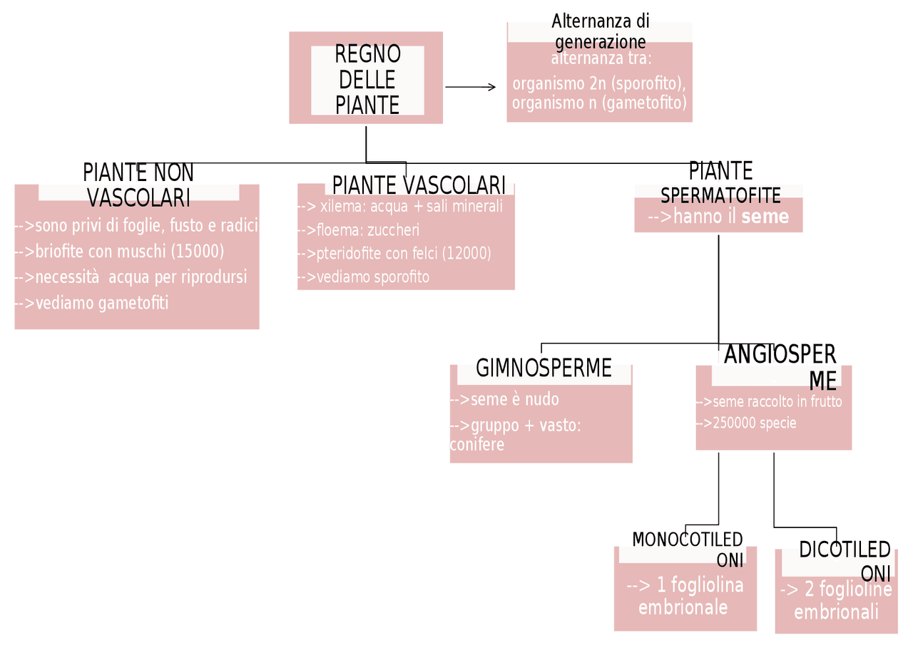 Schema Completo Su Piante E Funghi Docsity
