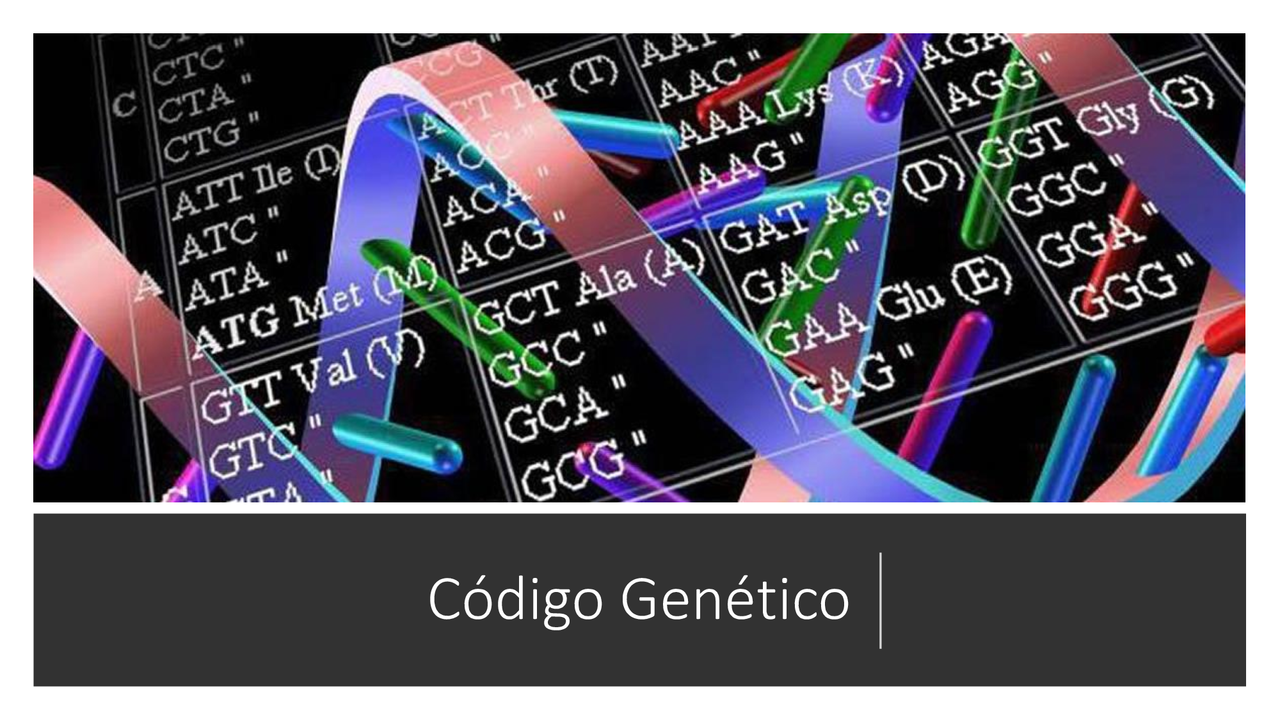 Diapositiva sobre el Código genético - Docsity
