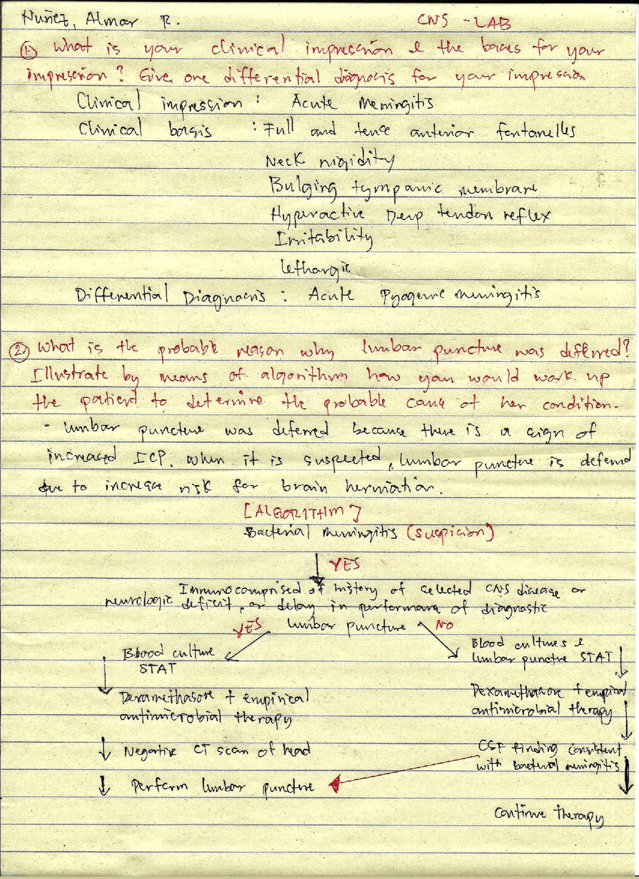 Central Nervous System Laboratory Essay Assignment Docsity