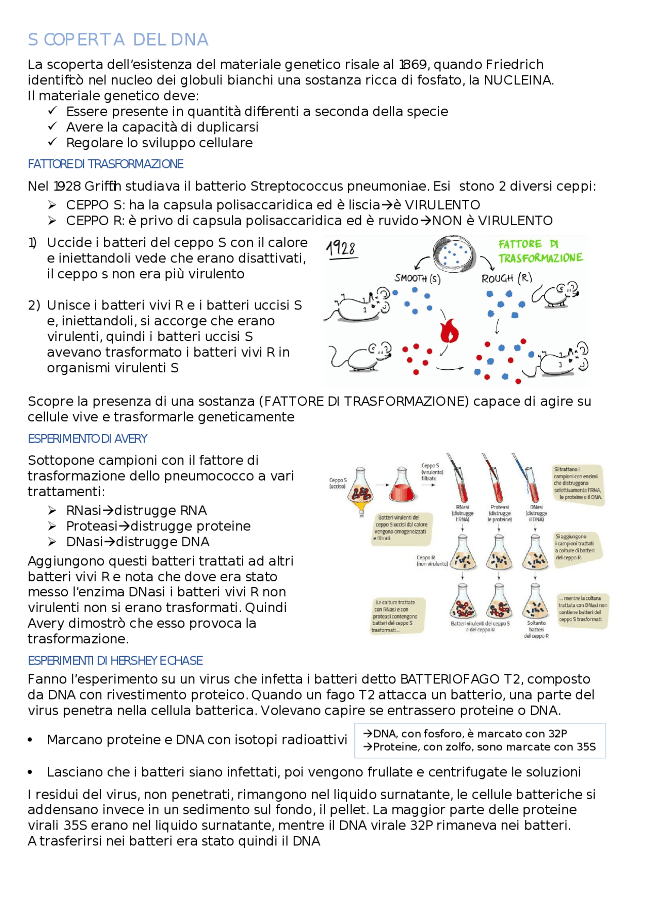 SCOPERTA DNA (Esperimenti Avery, Chase...) - Docsity