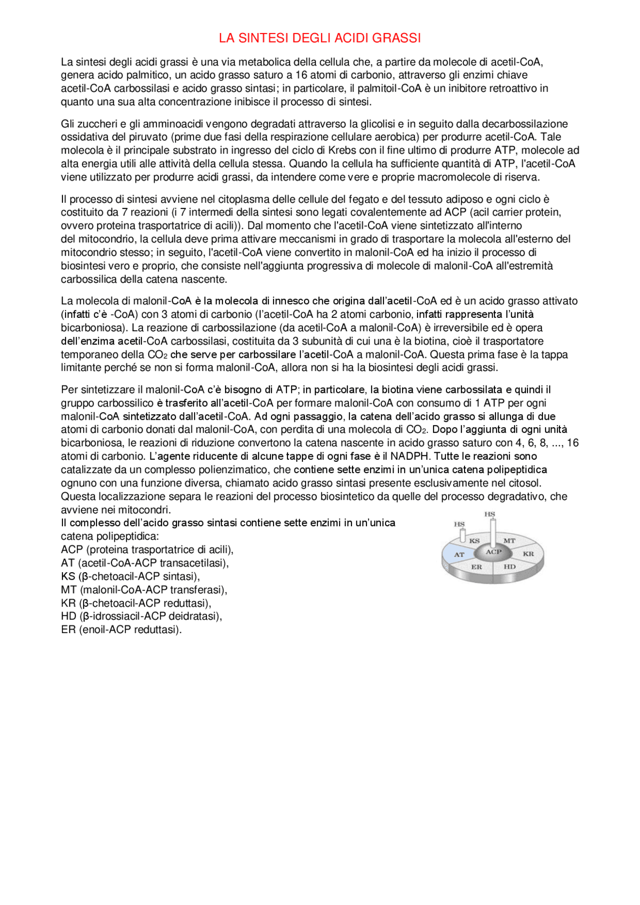 La Sintesi Degli Acidi Grassi Docsity