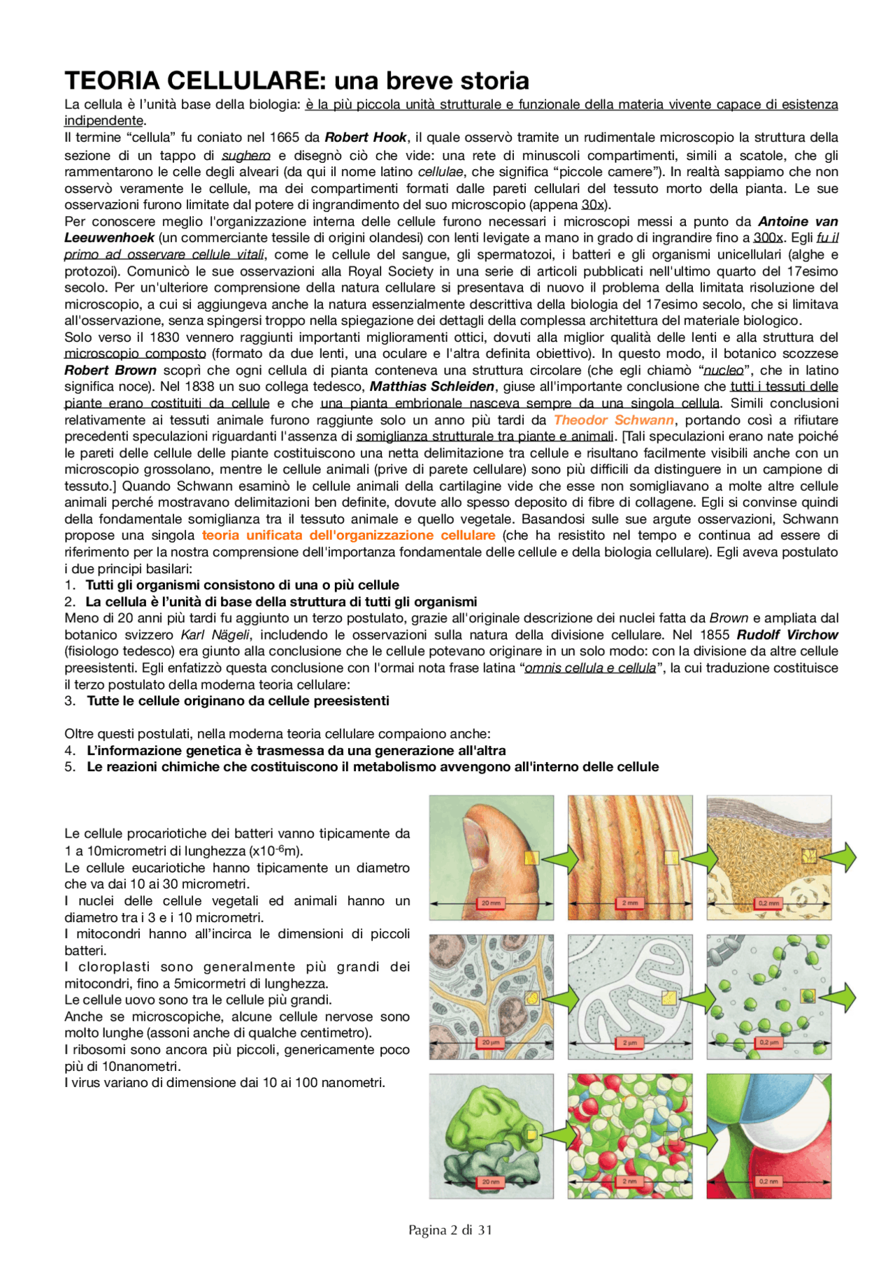 Teoria cellulare: storia e origine della cellula - Docsity