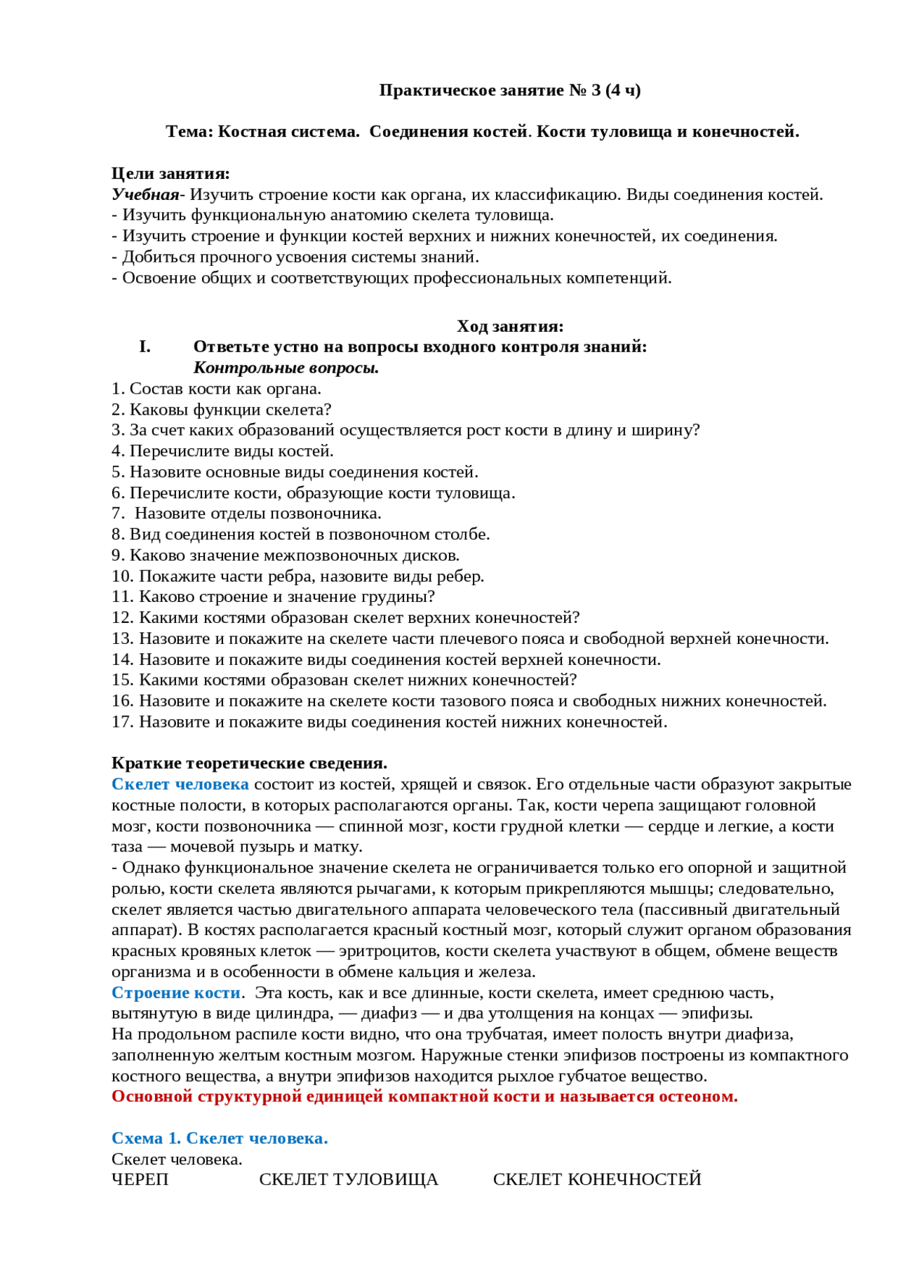 скелет человека и туловища лекция Docsity