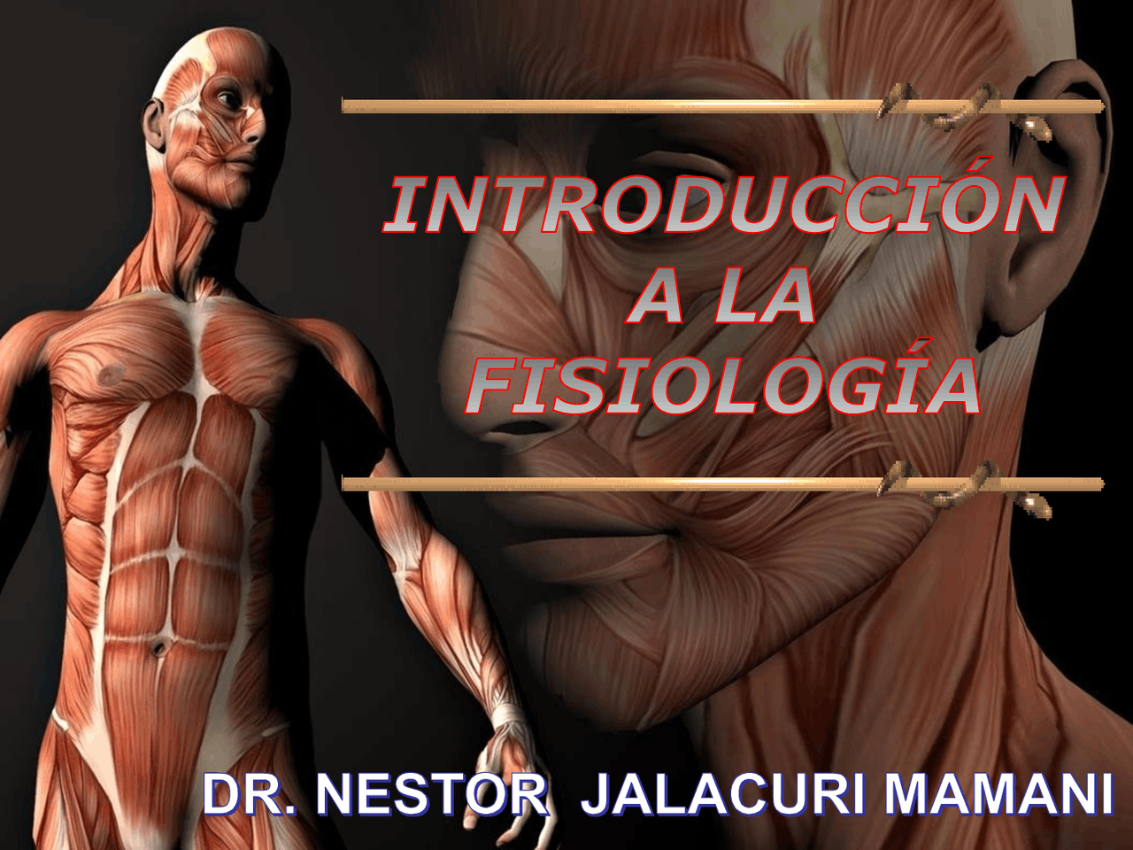 Introduccion a la fisiologia - Docsity