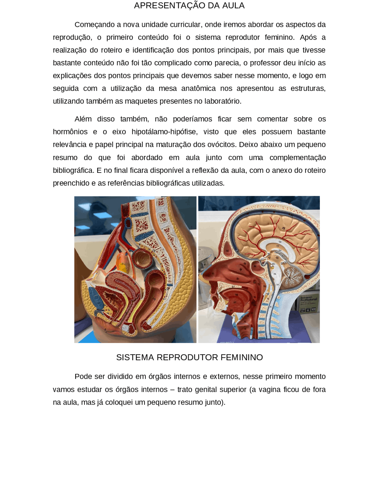 Sistema Reprodutor Feminino Docsity