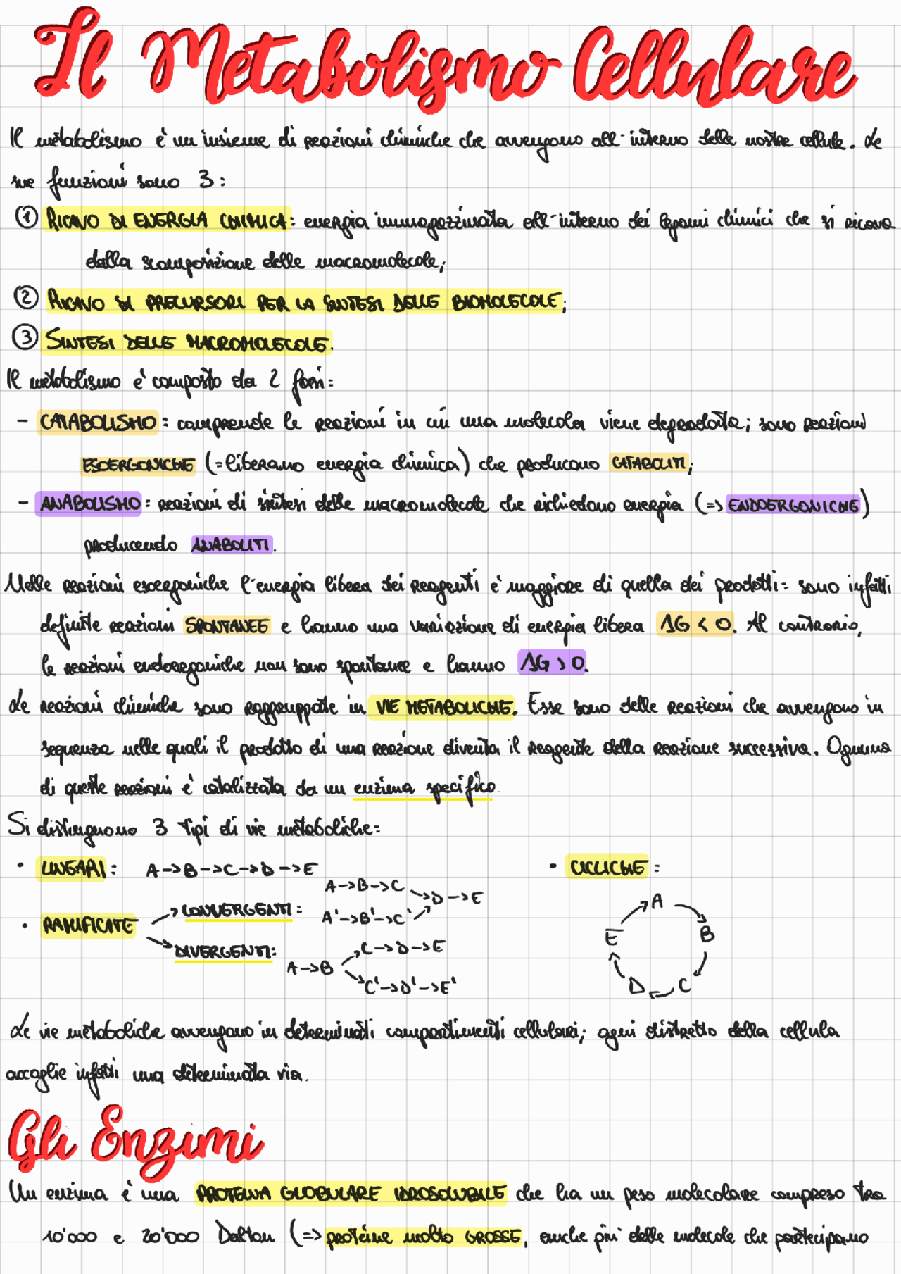 Metabolismo Cellulare Enzimi E Atp Docsity