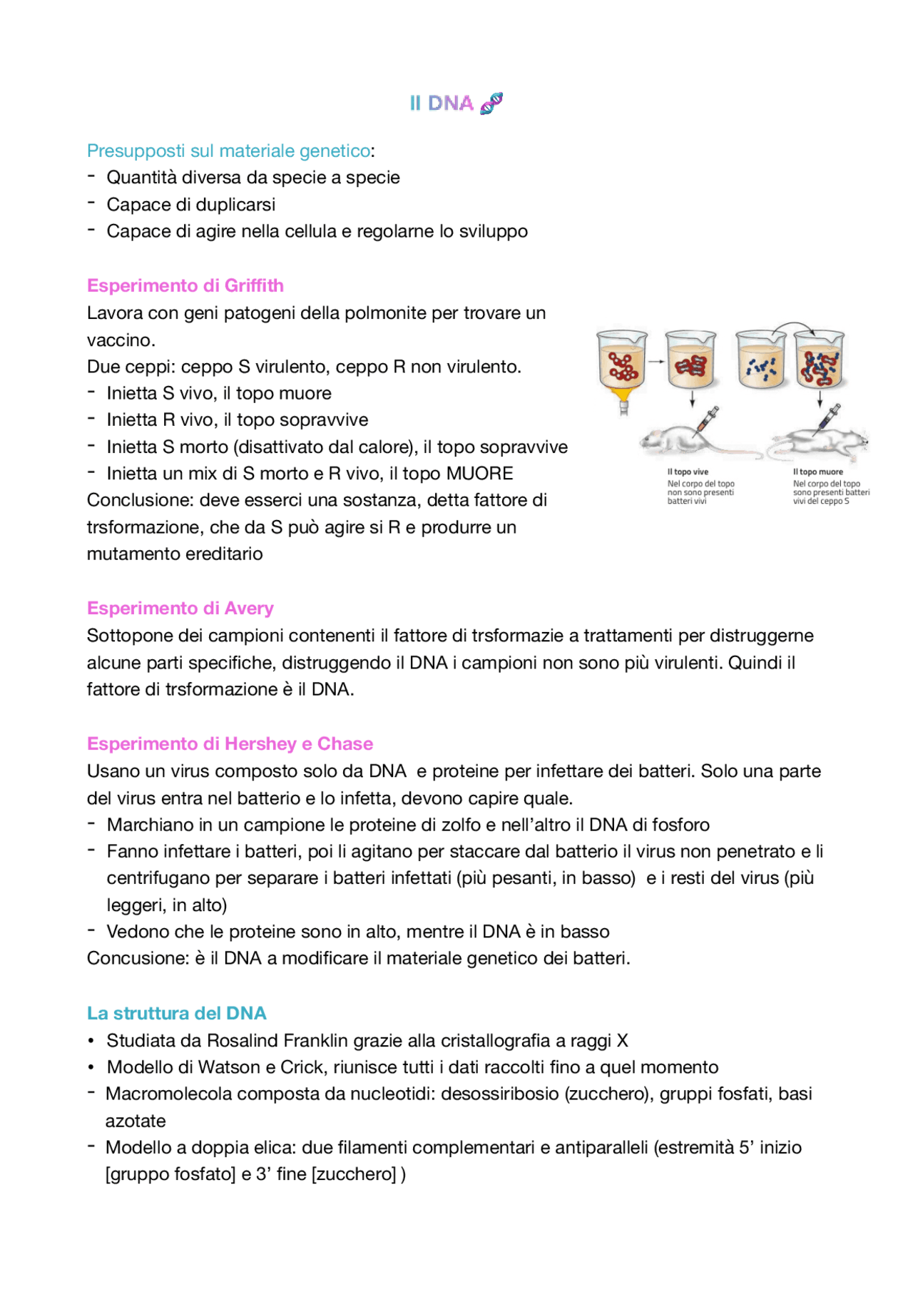 Il Dna Riassunto Fatto Bene Docsity